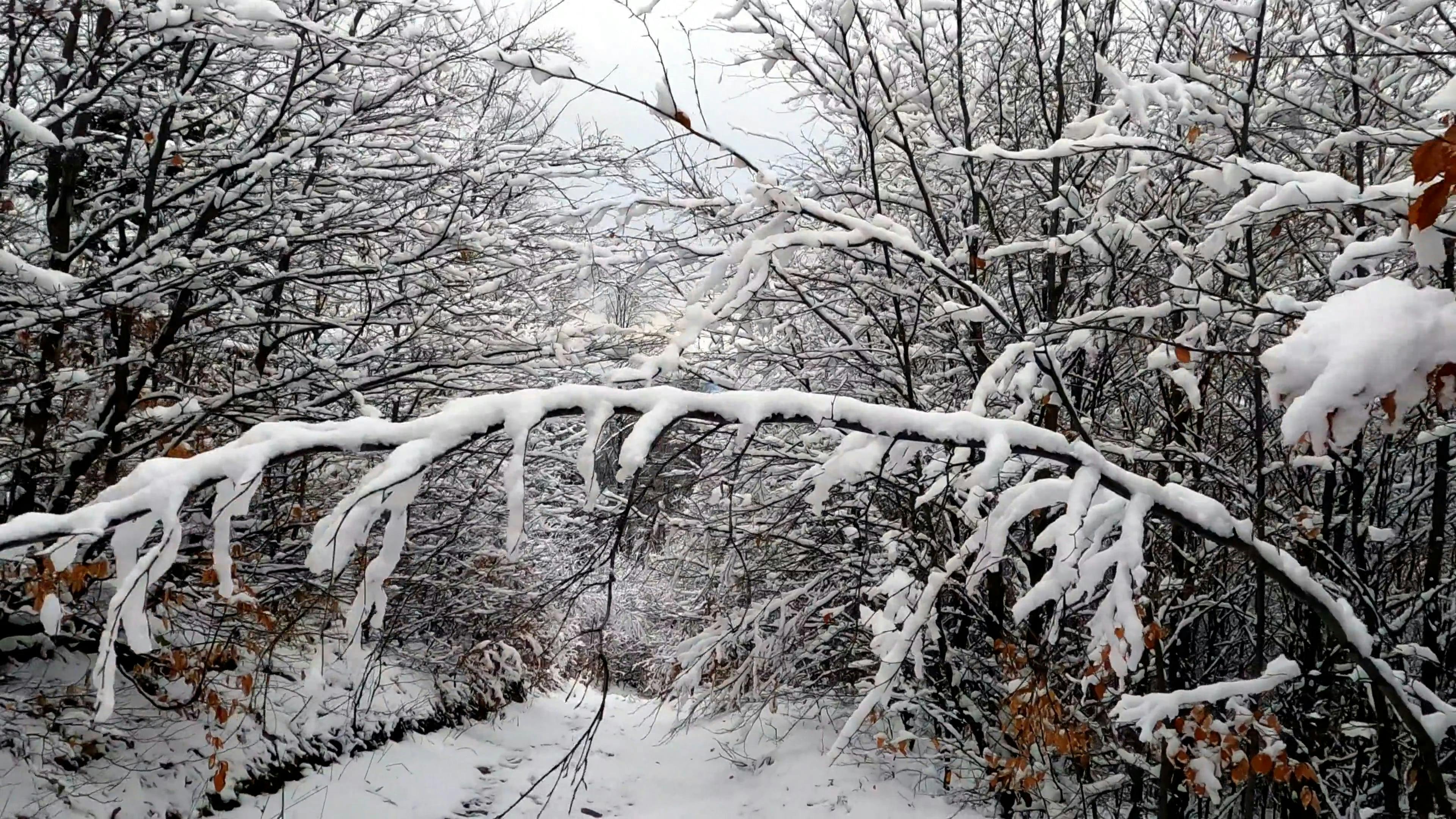 Simple Track Videos, Download The BEST Free 4k Stock Video Footage ...