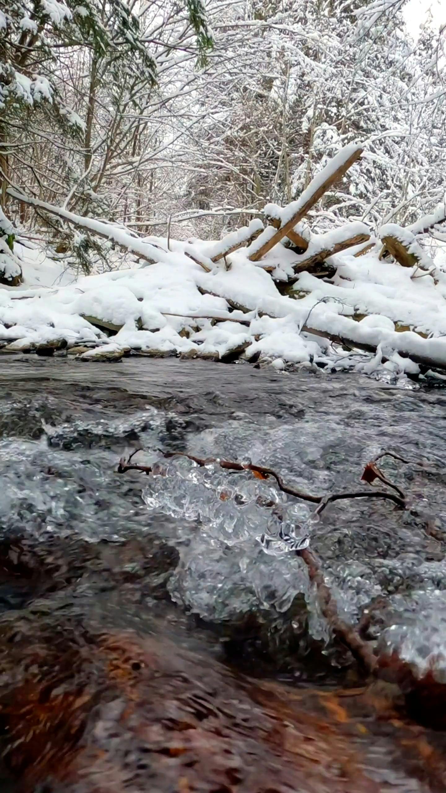 Stream in Forest in Winter Free Stock Video Footage, Royalty-Free 4K ...