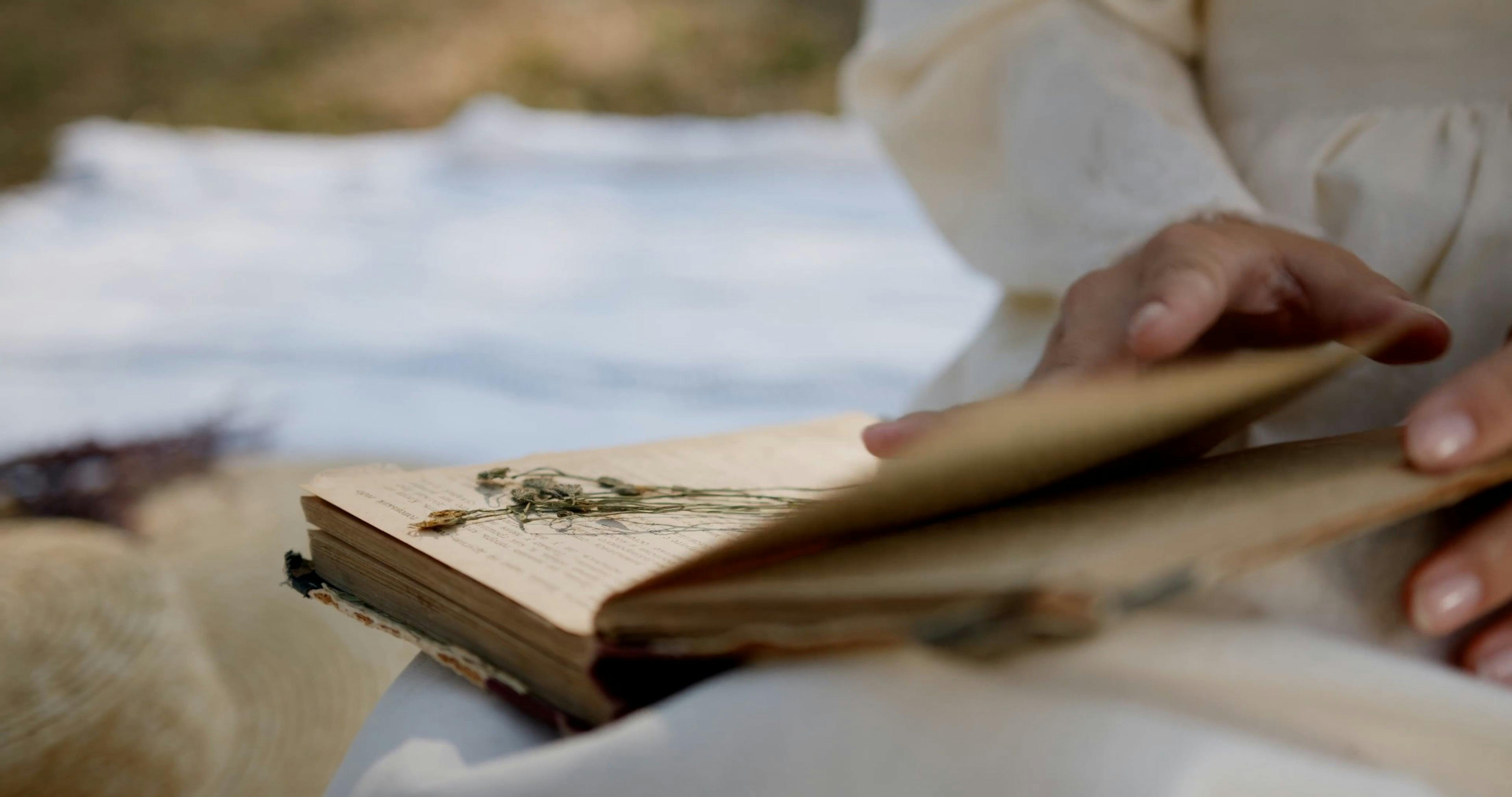 Finding Book Videos, Download The BEST Free 4k Stock Video Footage ...