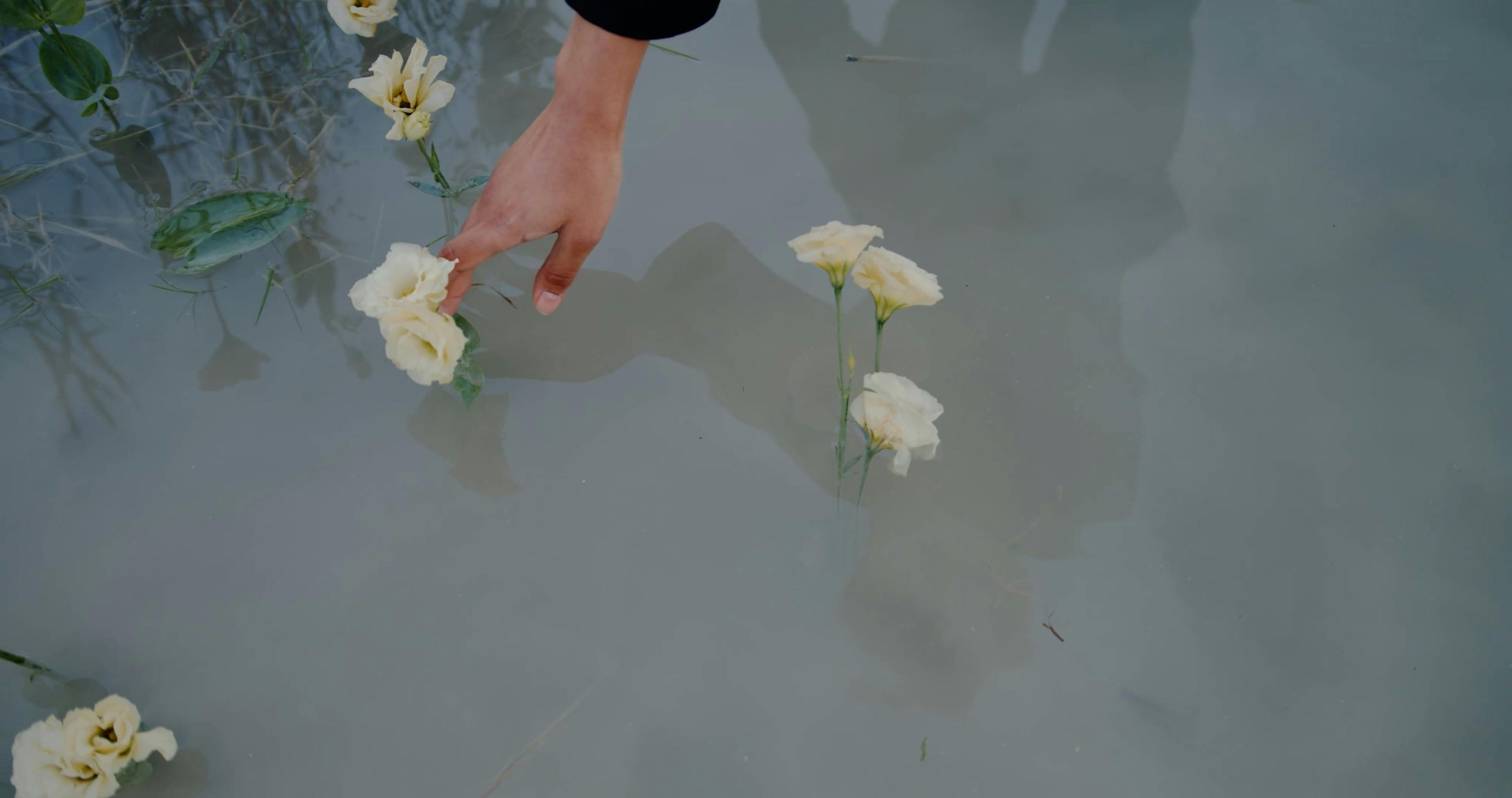 Gentle Motion Videos, Download The BEST Free 4k Stock Video Footage ...