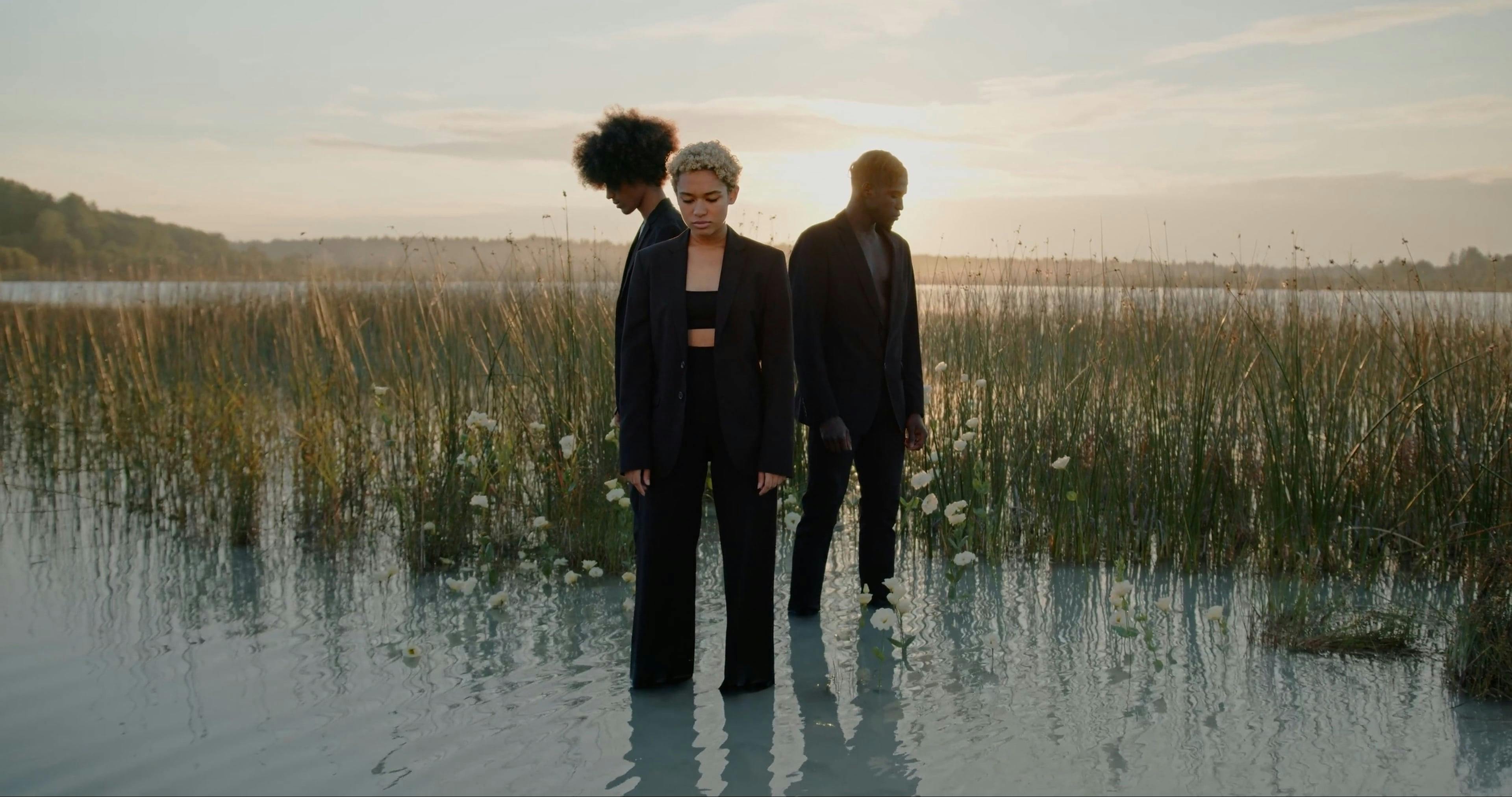 Overview Background Videos, Download The BEST Free 4k Stock Video ...