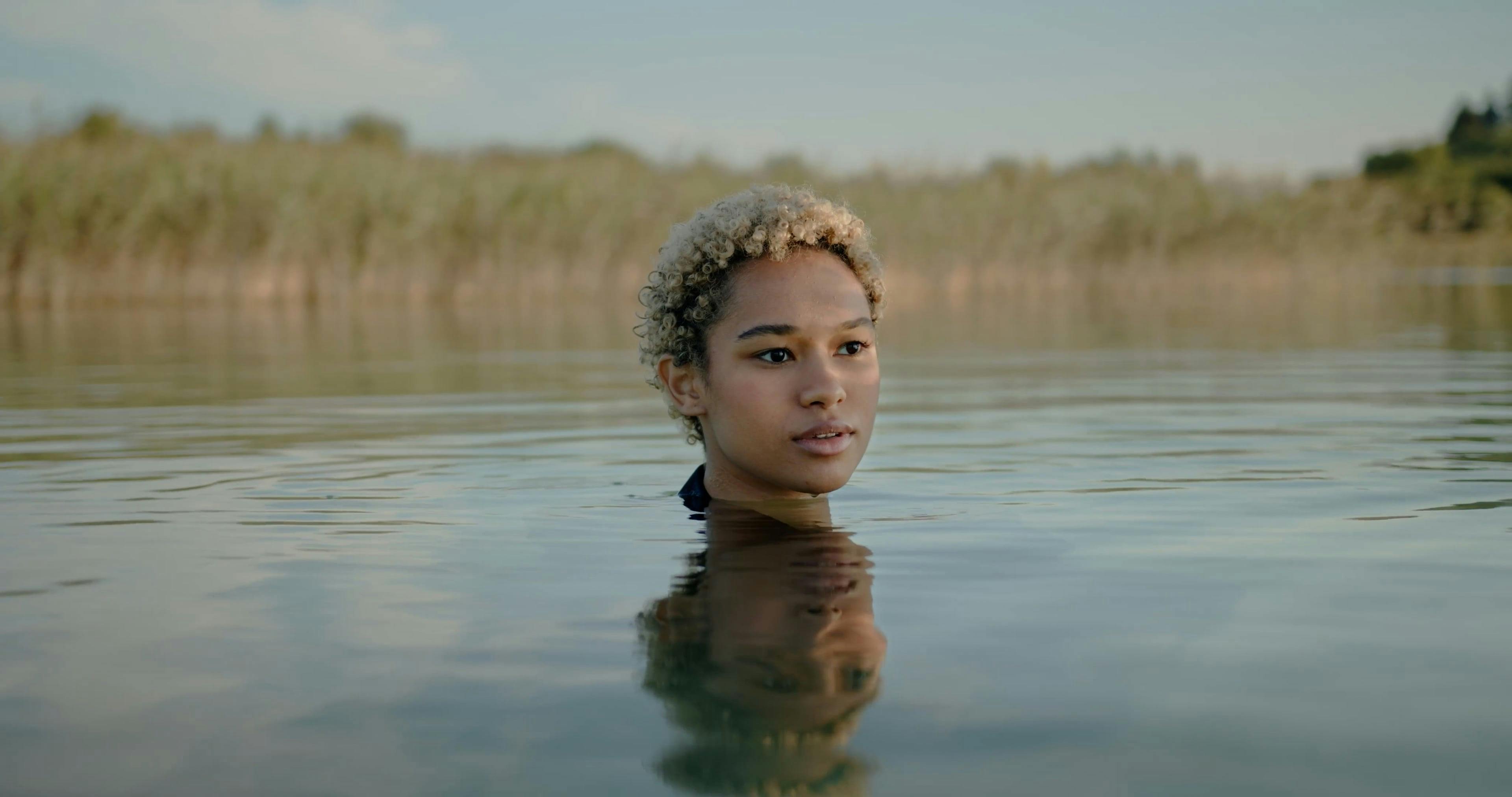 Short Still Videos, Download The BEST Free 4k Stock Video Footage ...