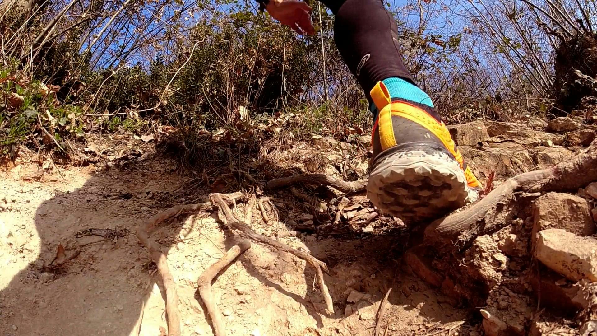 Root Boot Videos, Download The BEST Free 4k Stock Video Footage & Root ...