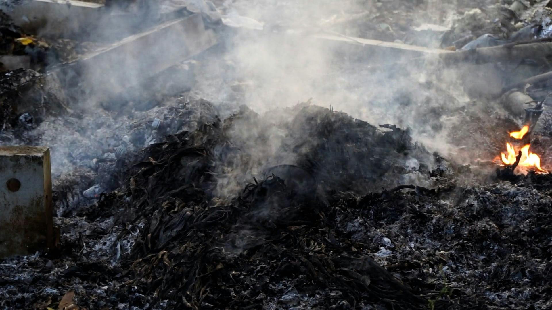 Smoke from Burning Ground Free Stock Video Footage, Royalty-Free 4K ...