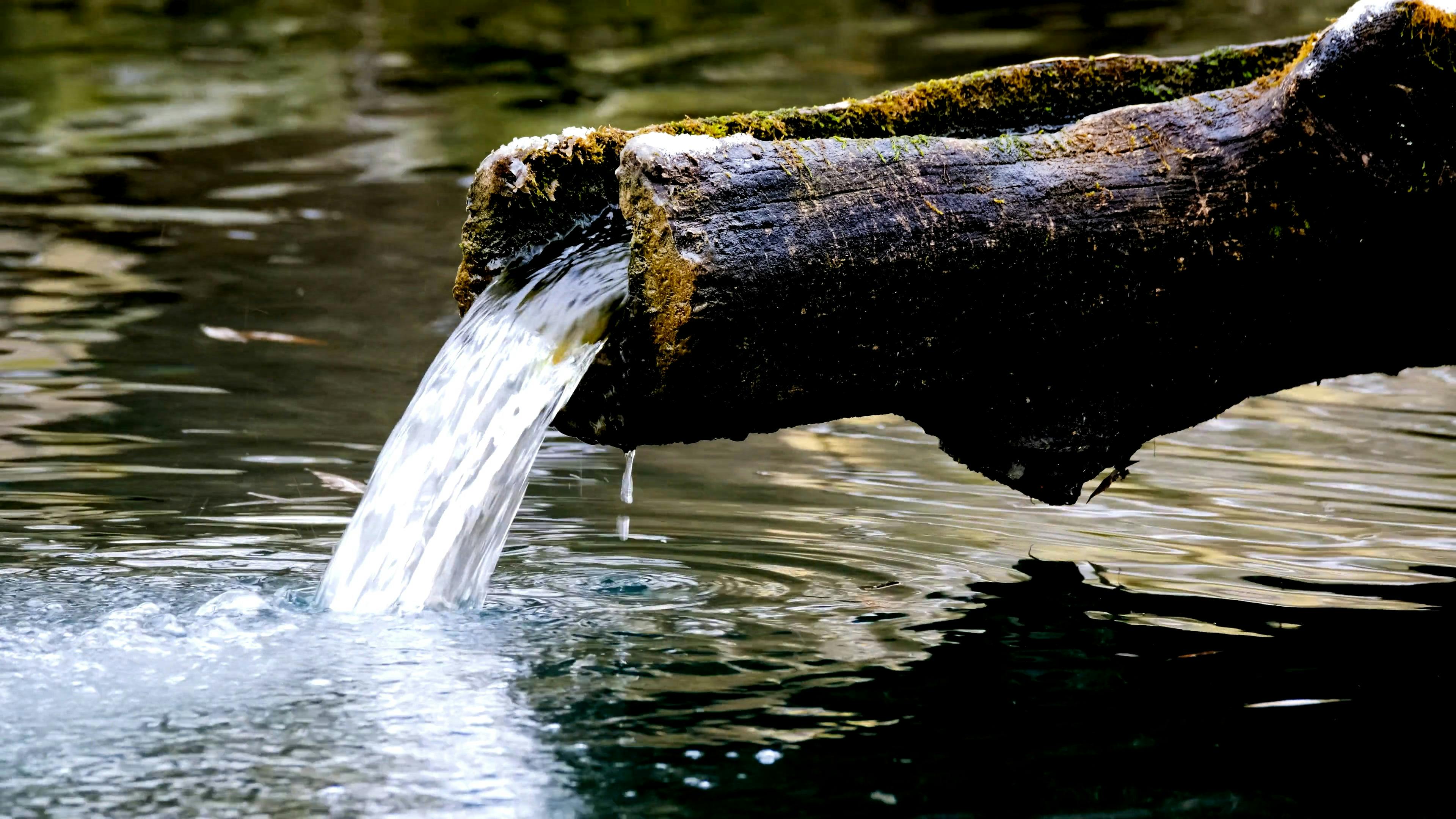 Flowing Water from Tree Trunk Free Stock Video Footage, Royalty-Free 4K ...
