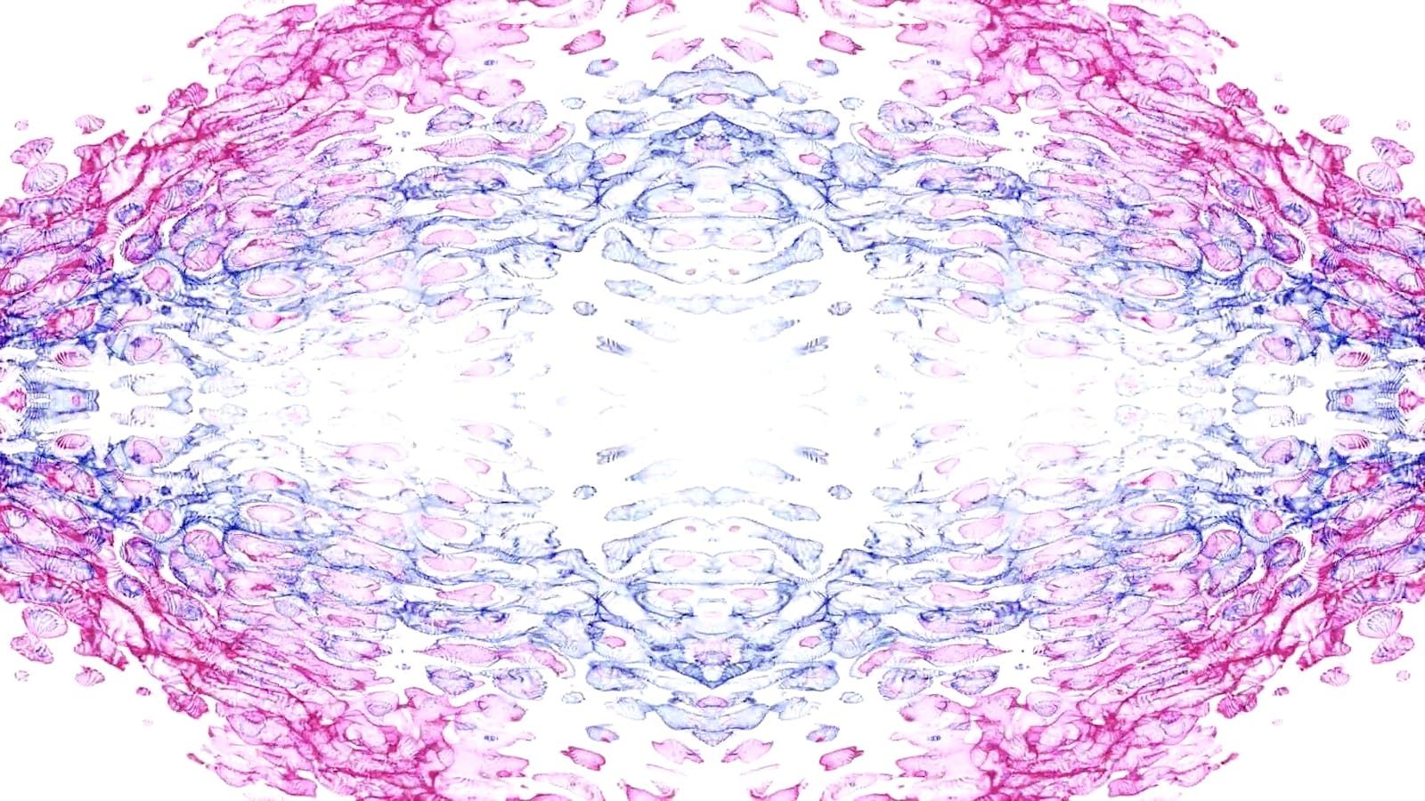 Pink Animated Pc Wallpaper Videos, Download The BEST Free 4k Stock ...