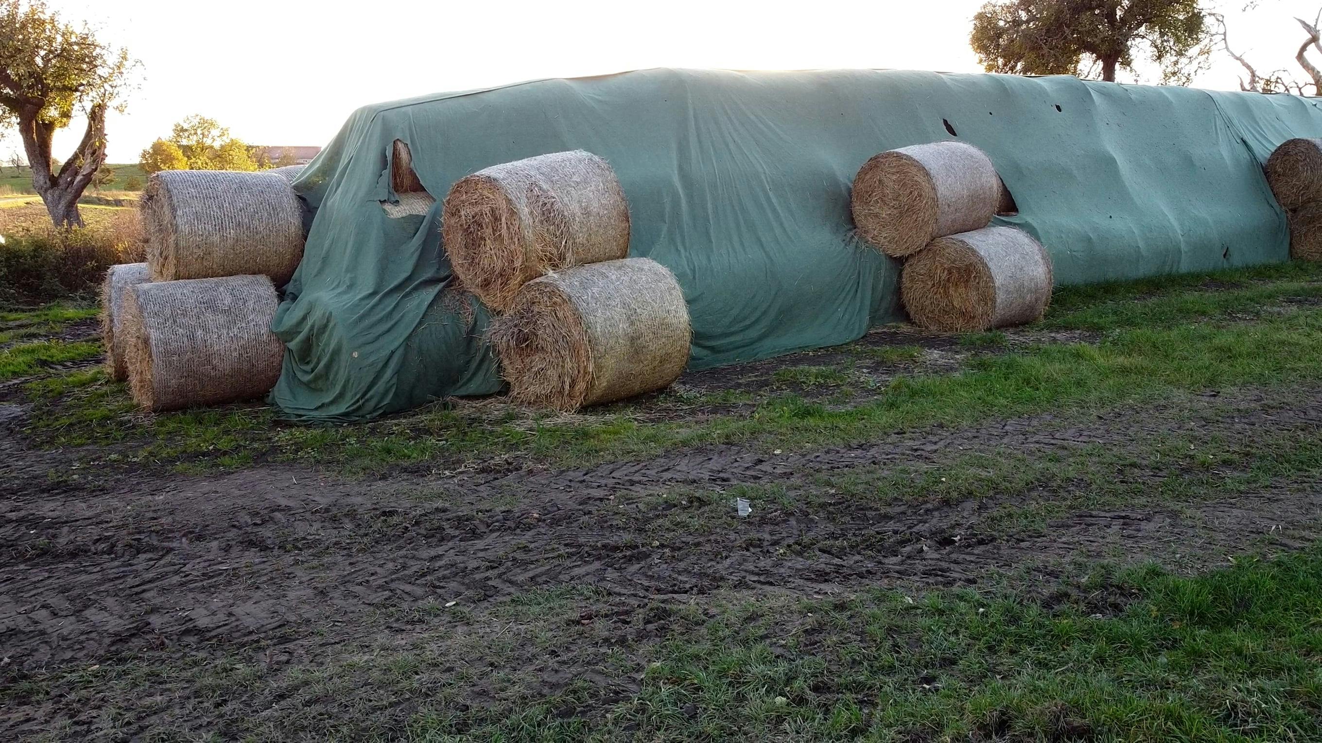 A Drone Footage of An Open Field Free Stock Video Footage, Royalty-Free ...