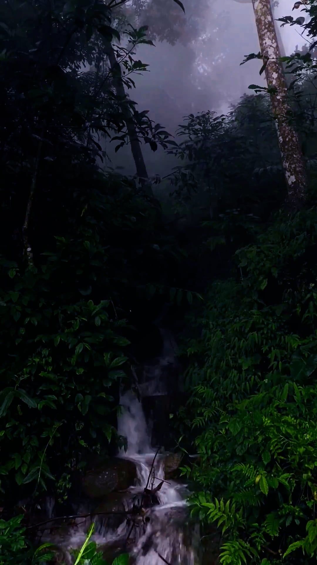Water Flowing in the River Free Stock Video Footage, Royalty-Free 4K ...