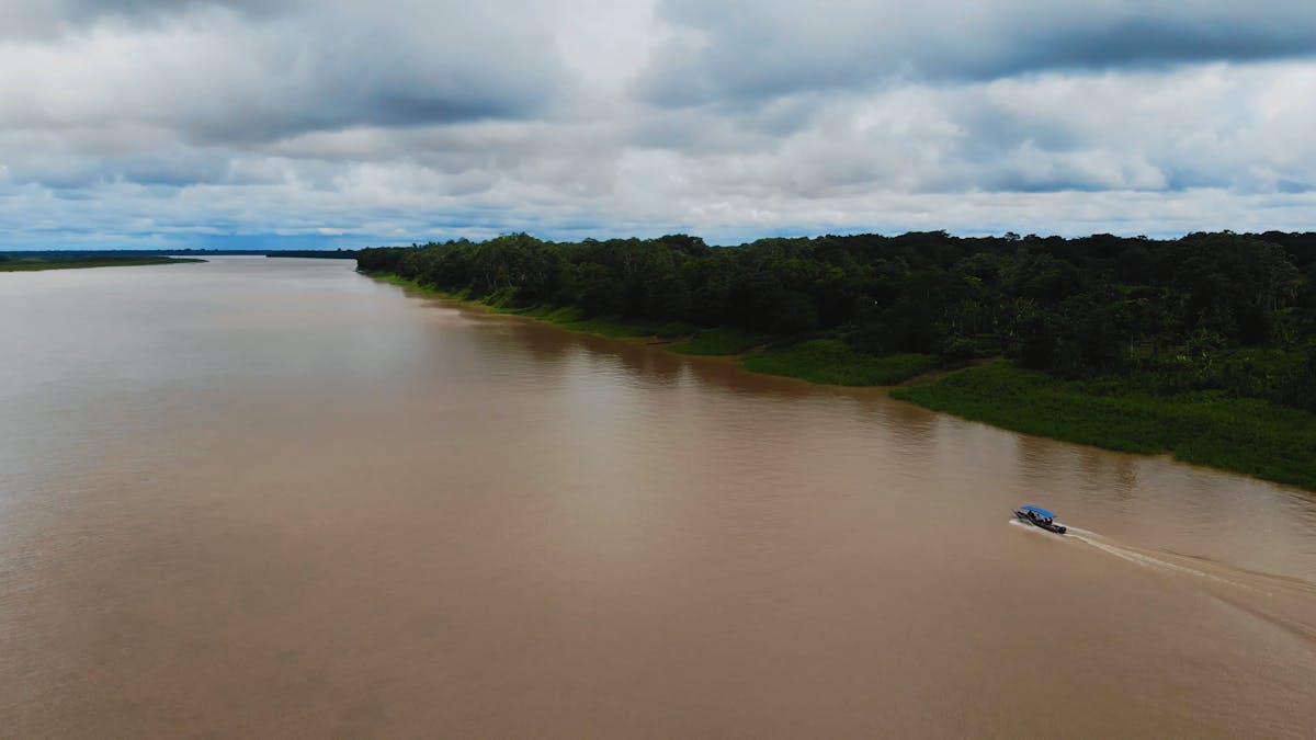 Amazon River Videos, Download The BEST Free 4k Stock Video Footage ...