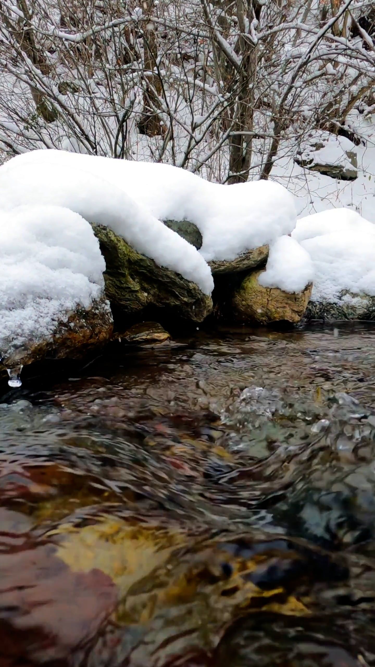 Close up on Stream in Winter Free Stock Video Footage, Royalty-Free 4K ...