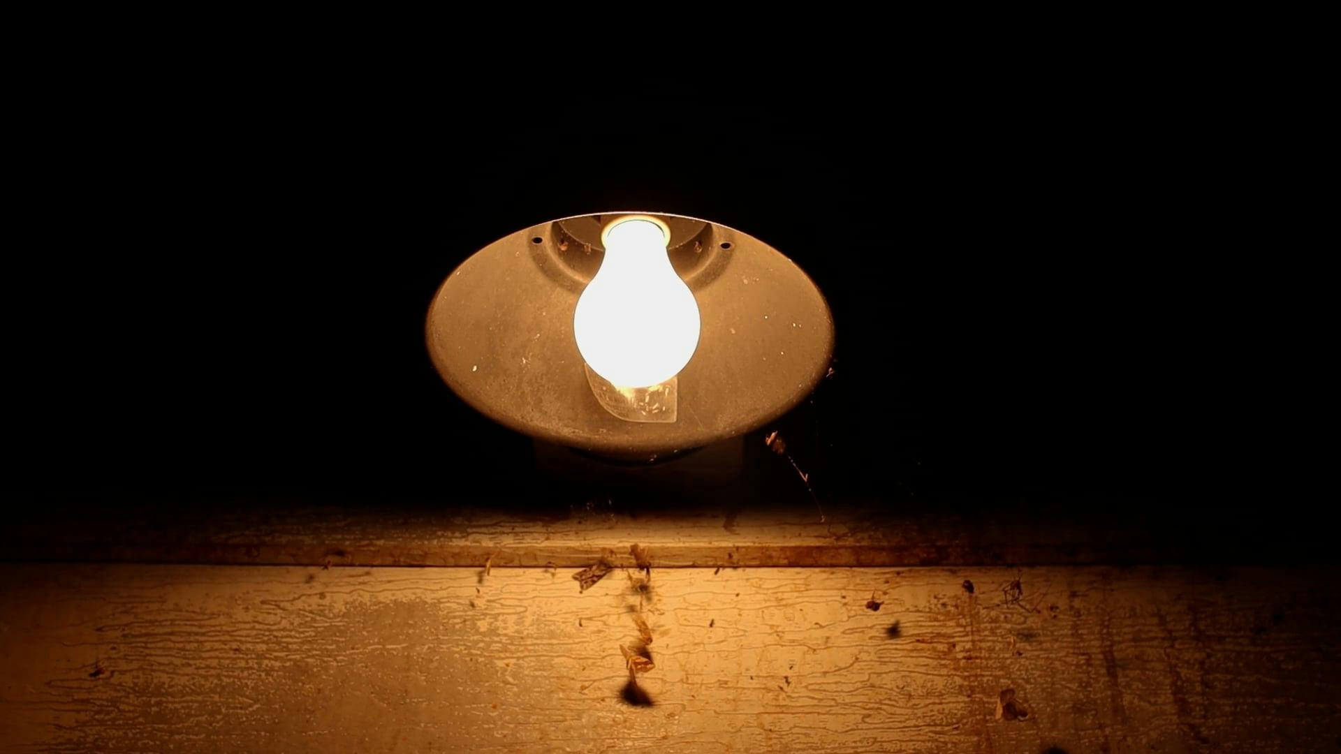 Light Bulb Going On and Off · Free Stock Video