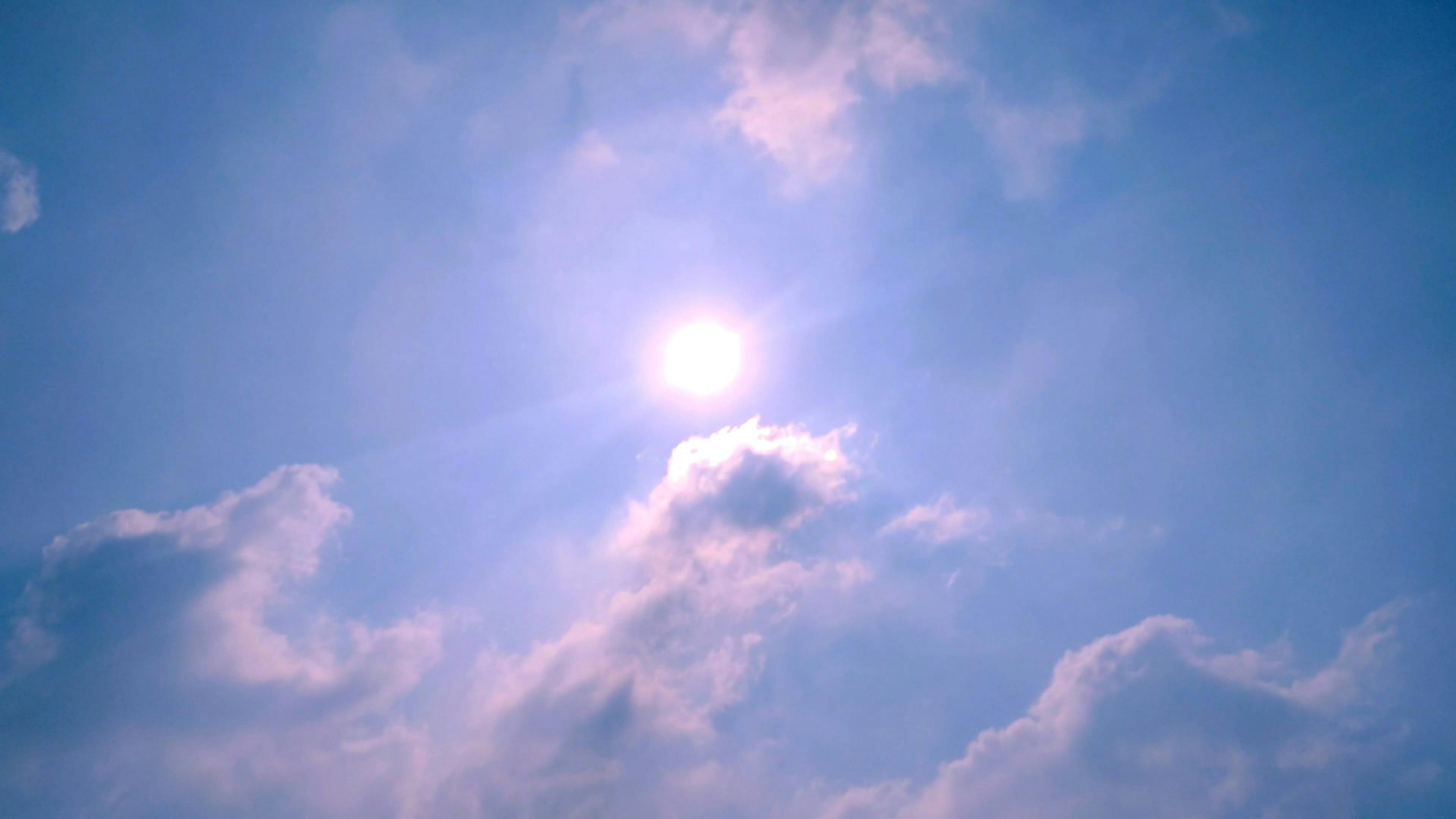 Time lapse of clouds above trees Free Stock Video Footage, Royalty-Free ...