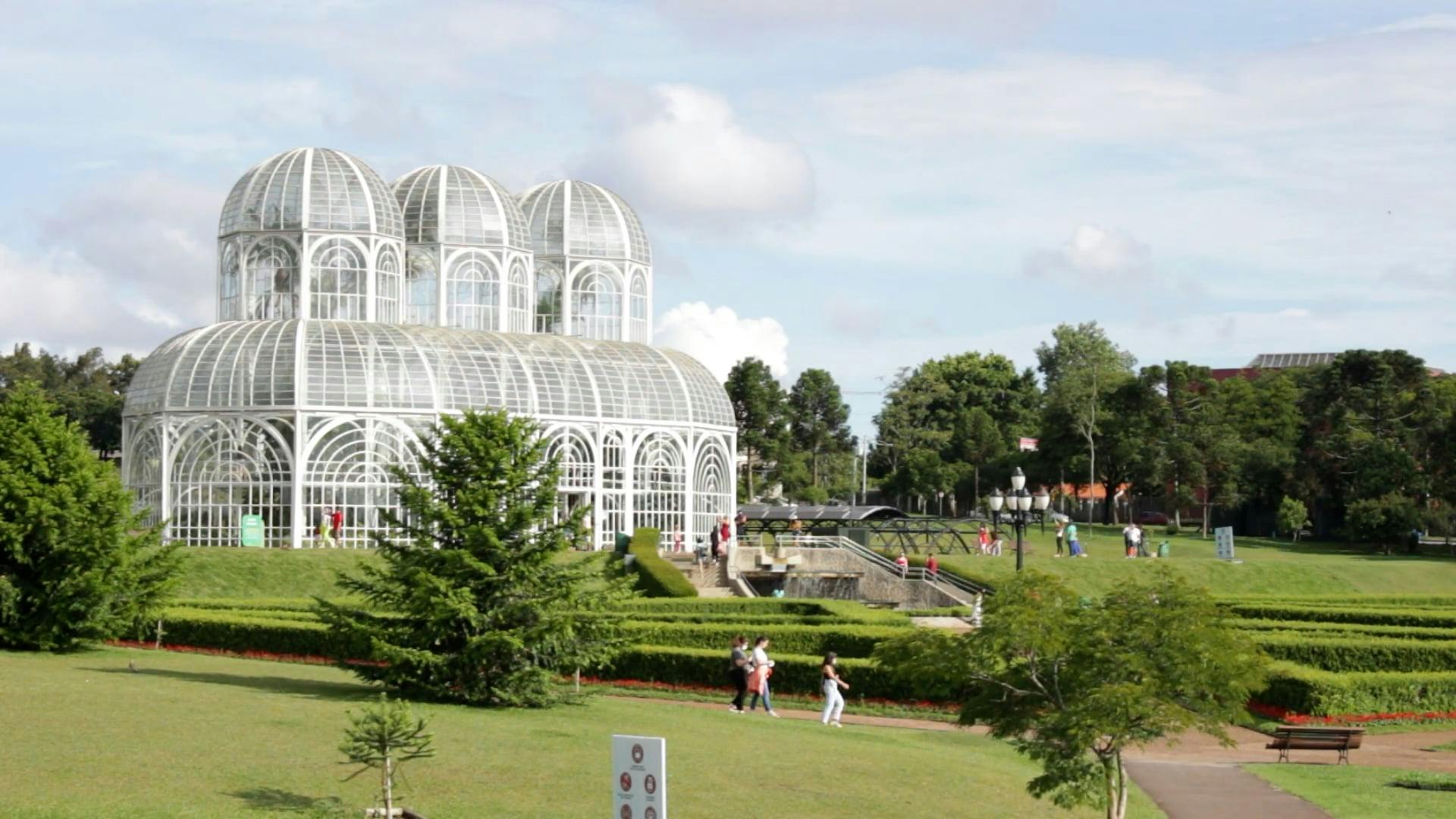 Brazilian Plants Videos, Download The BEST Free 4k Stock Video Footage ...