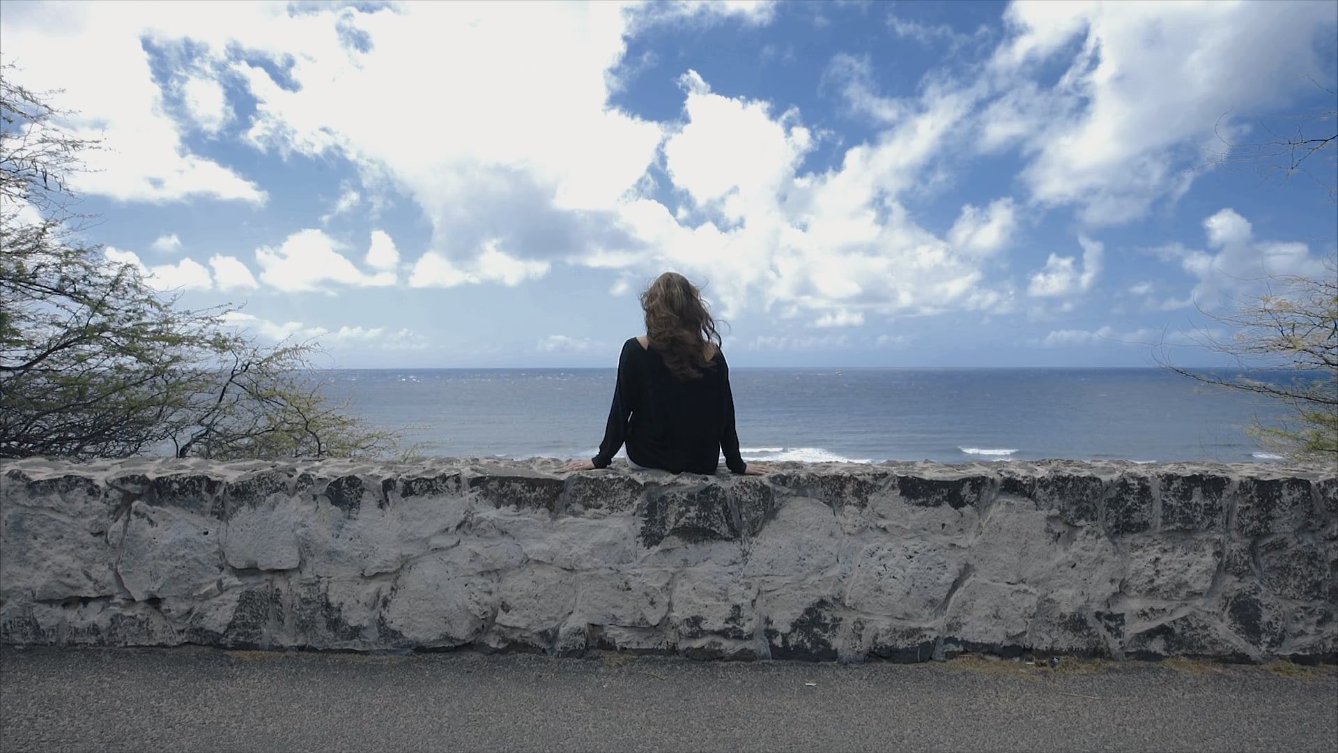 Woman Looking At The Horizon · Free Stock Video