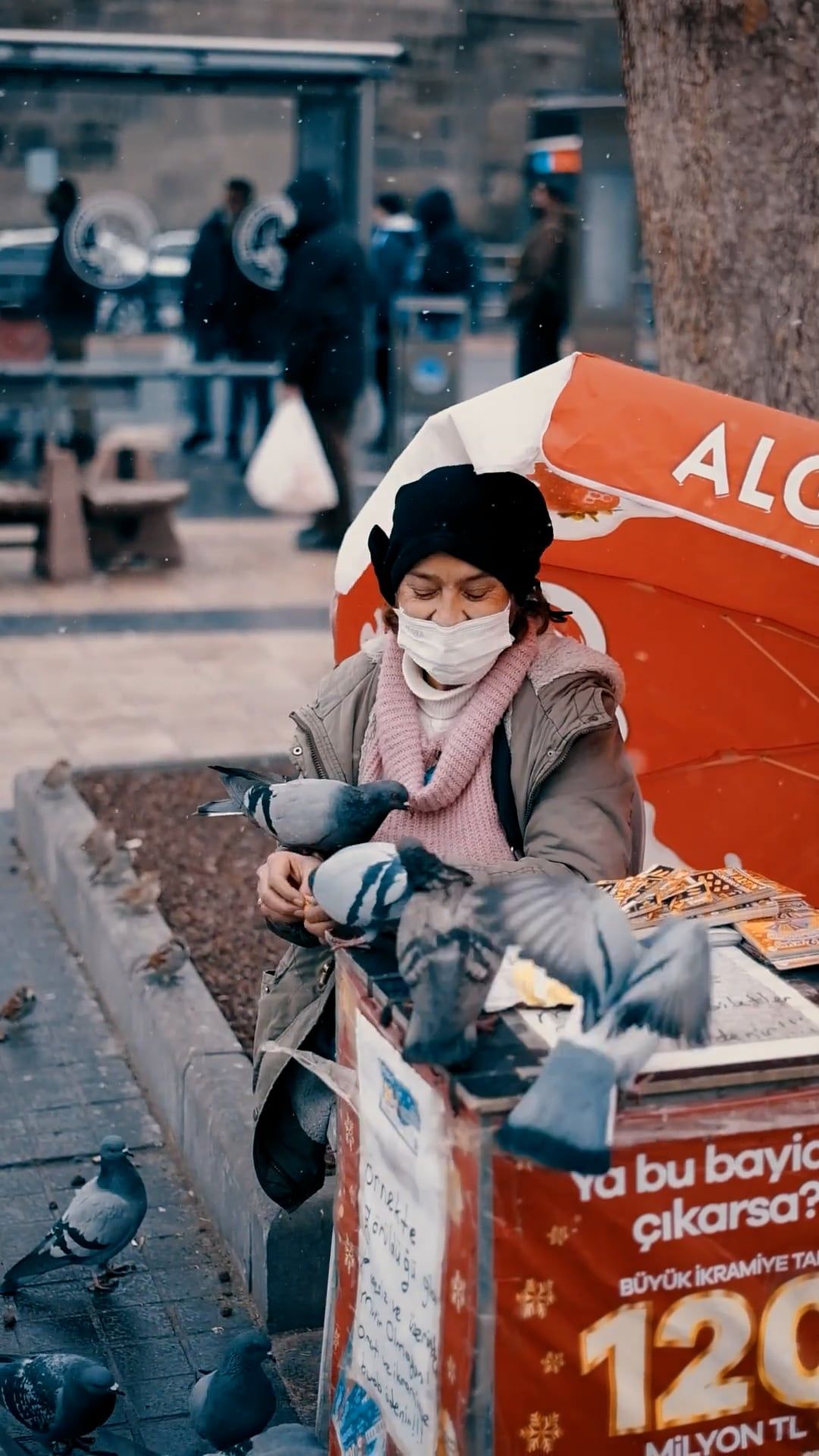 Pigeon Velley Turkey Videos, Download The BEST Free 4k Stock Video ...