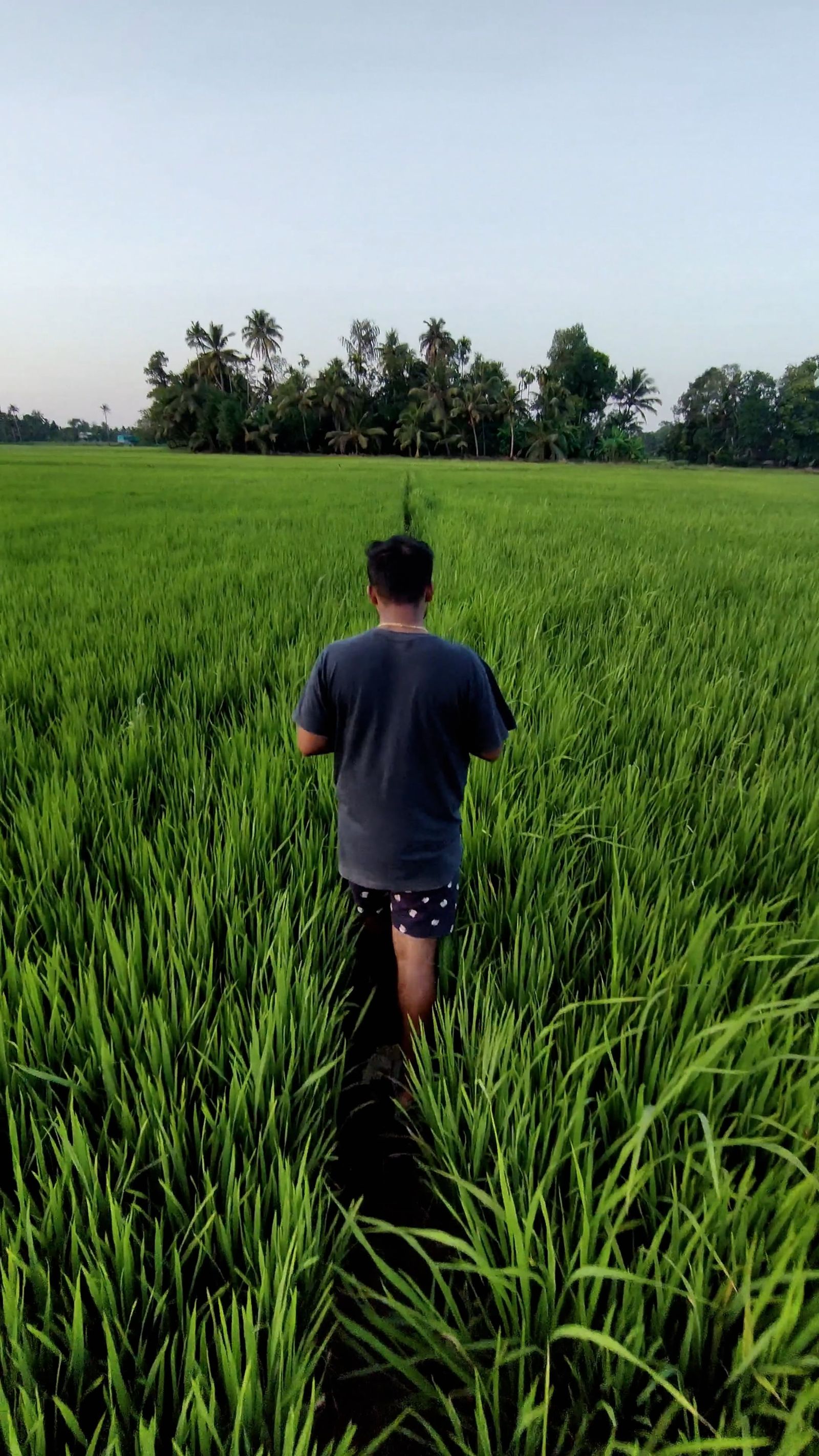 4k Video India Videos Download The BEST Free 4k Stock Video Footage 4k Video India Videos Download The BEST Free 4k Stock Video Footage