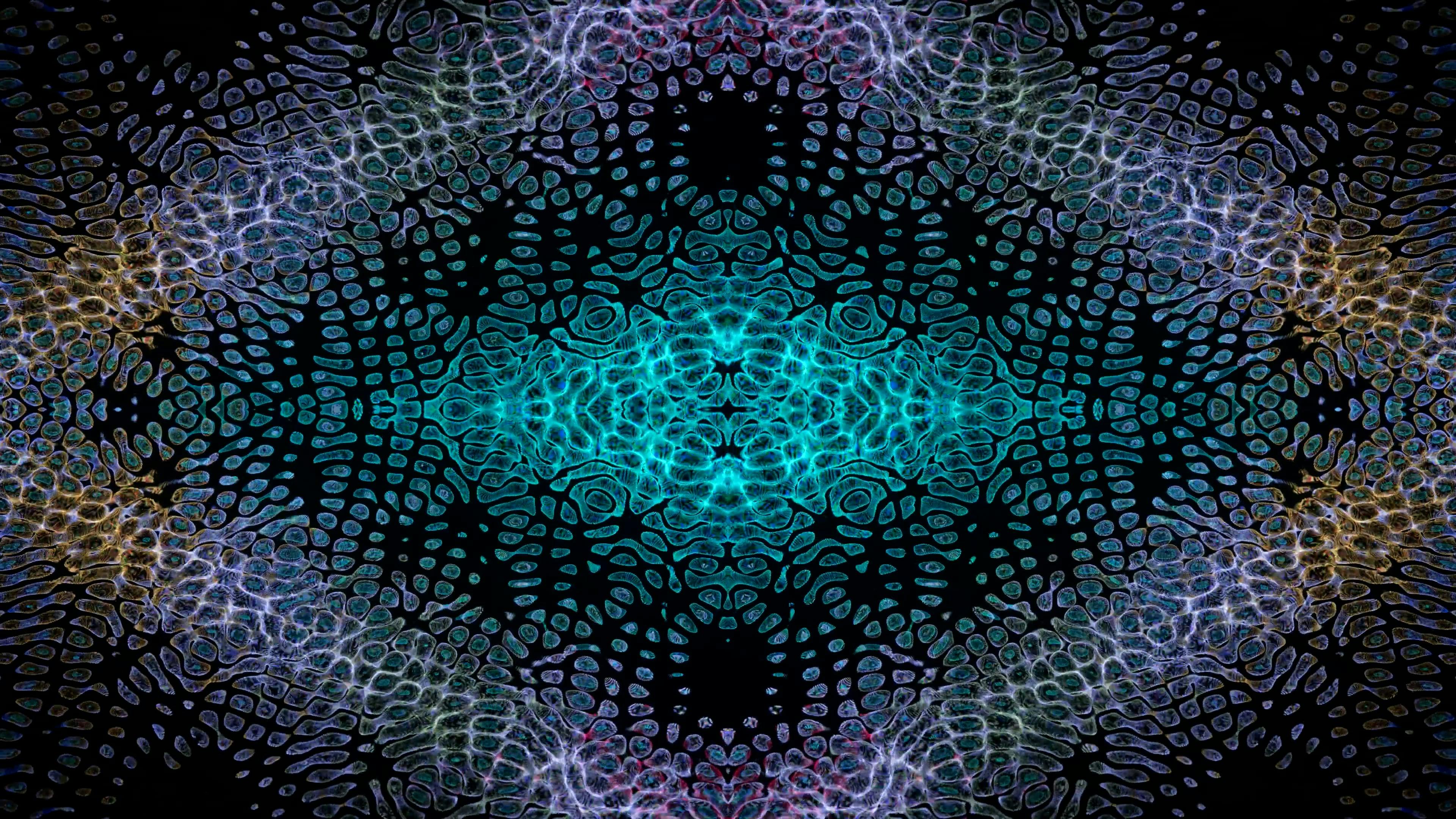 4k Web Series Wallpapers Videos, Download The BEST Free 4k Stock Video ...