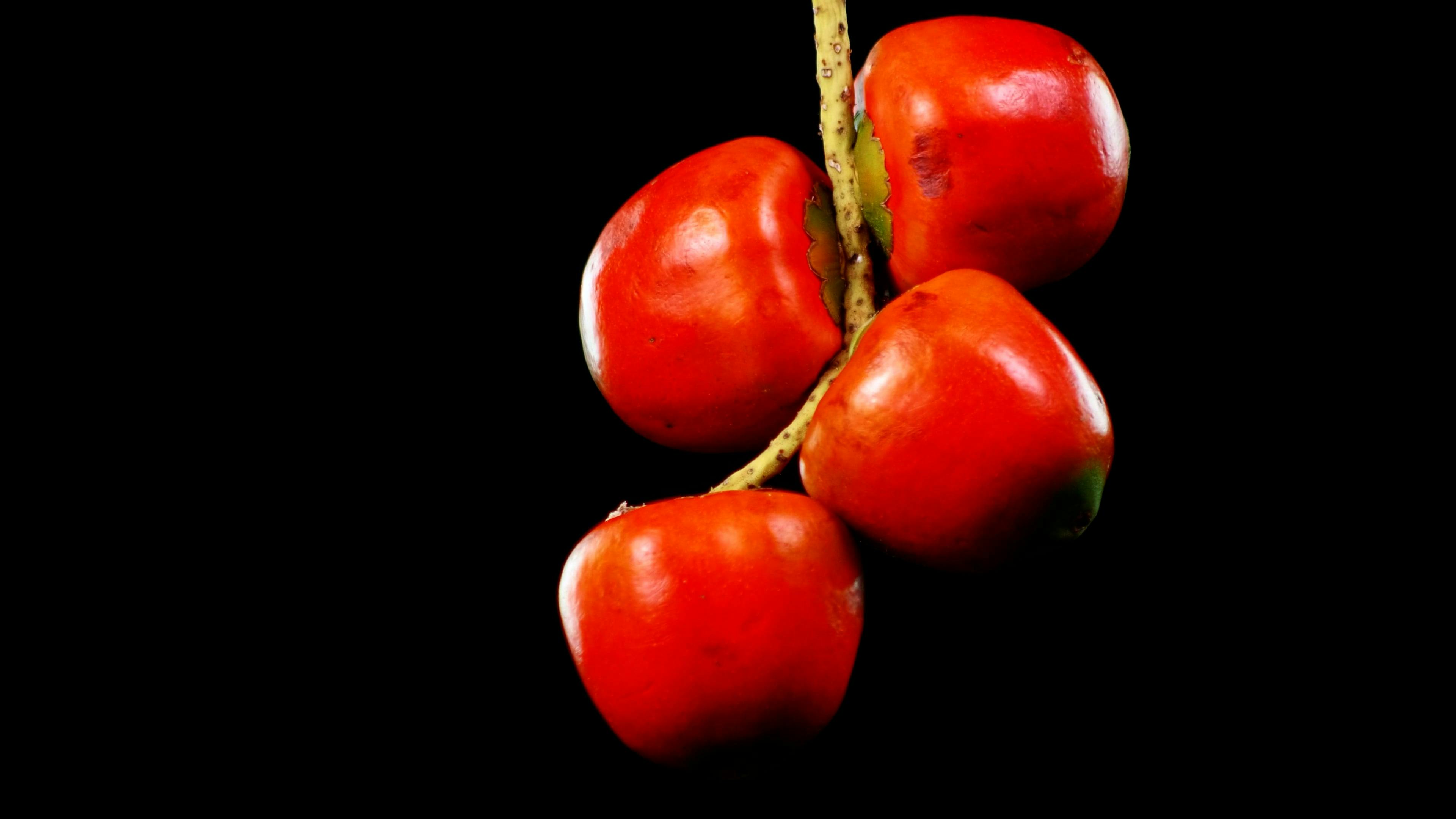 Hanging Chontaduro Fruit Against Black Background Free Stock Video ...