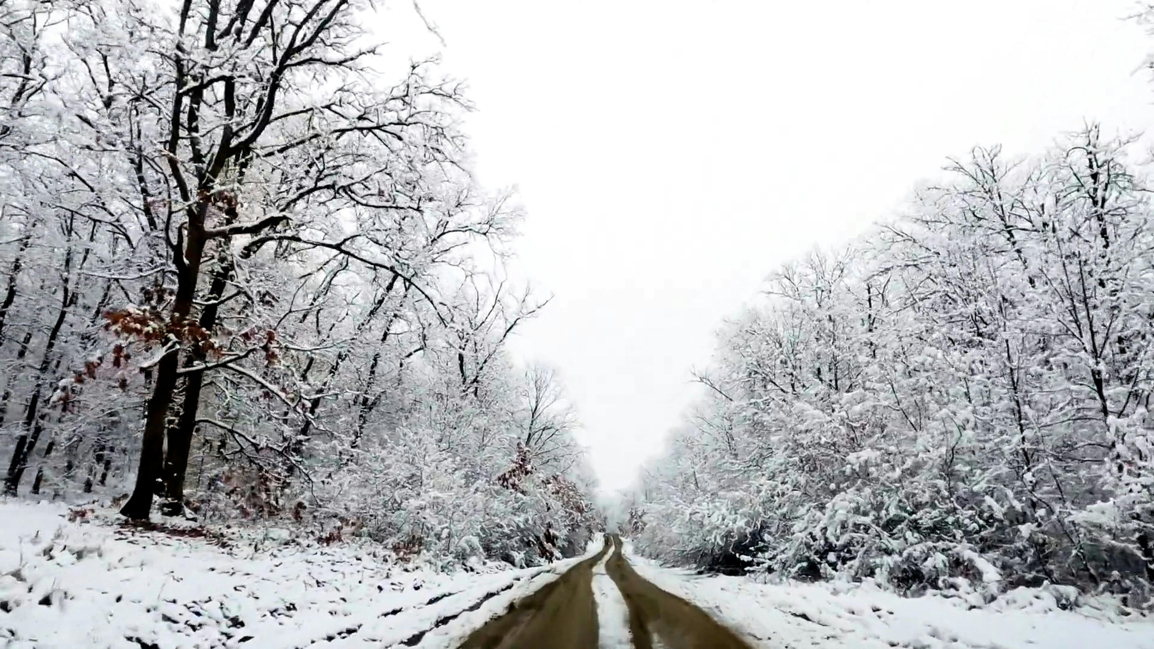 Perspective of Car Driving in Winter Free Stock Video Footage, Royalty ...