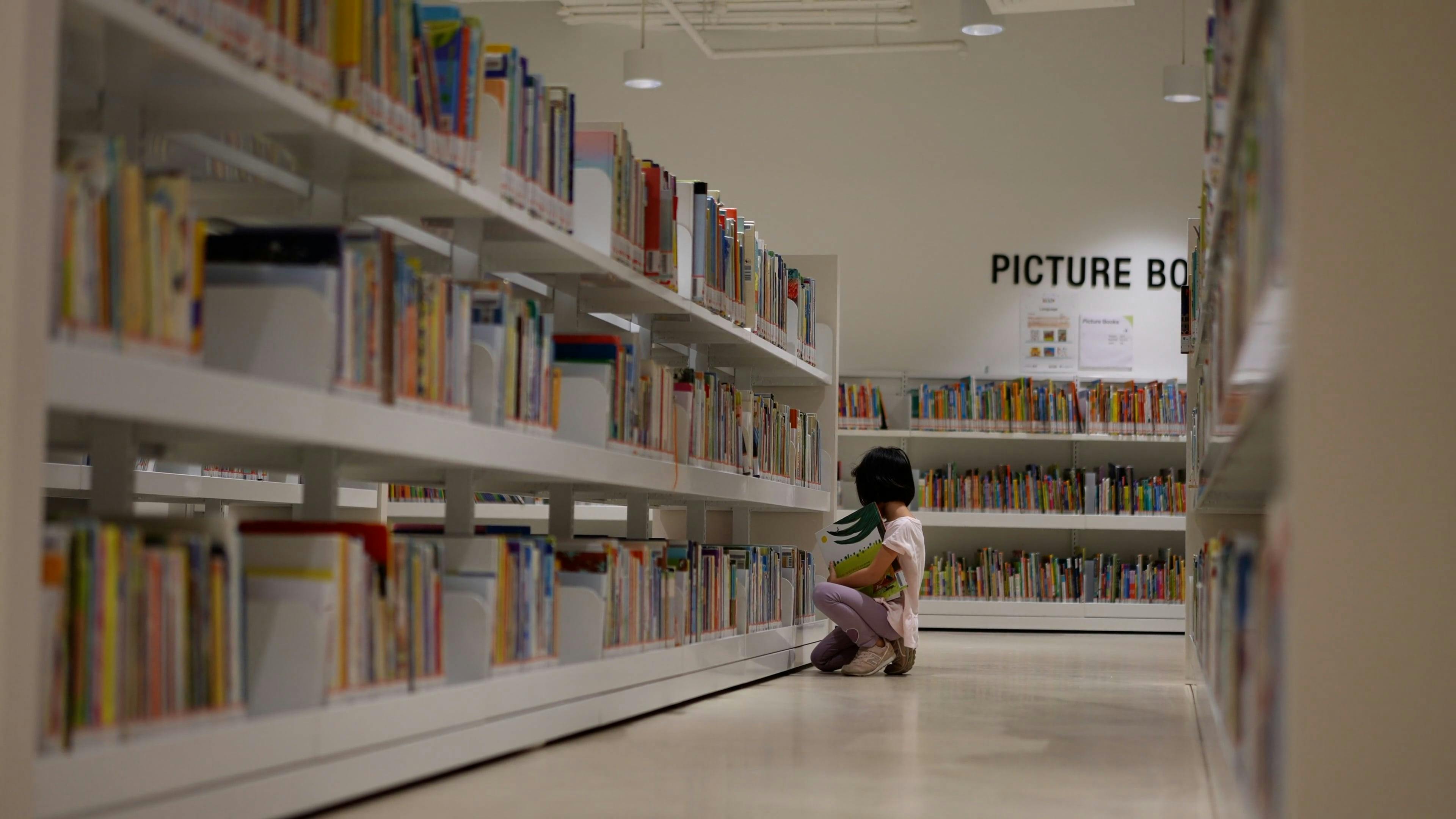 Library Activities Videos, Download The BEST Free 4k Stock Video ...