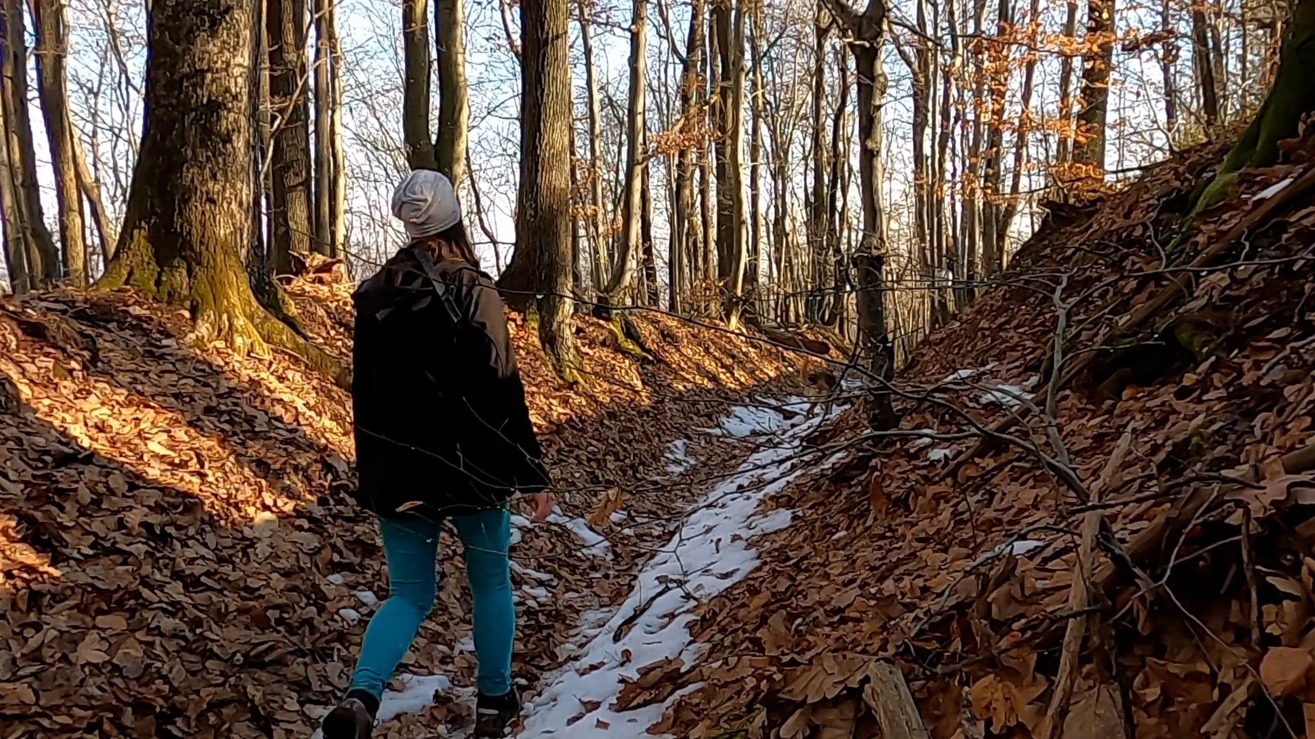 Autumn Forest Walk with a Woman in Focus Free Stock Video Footage ...