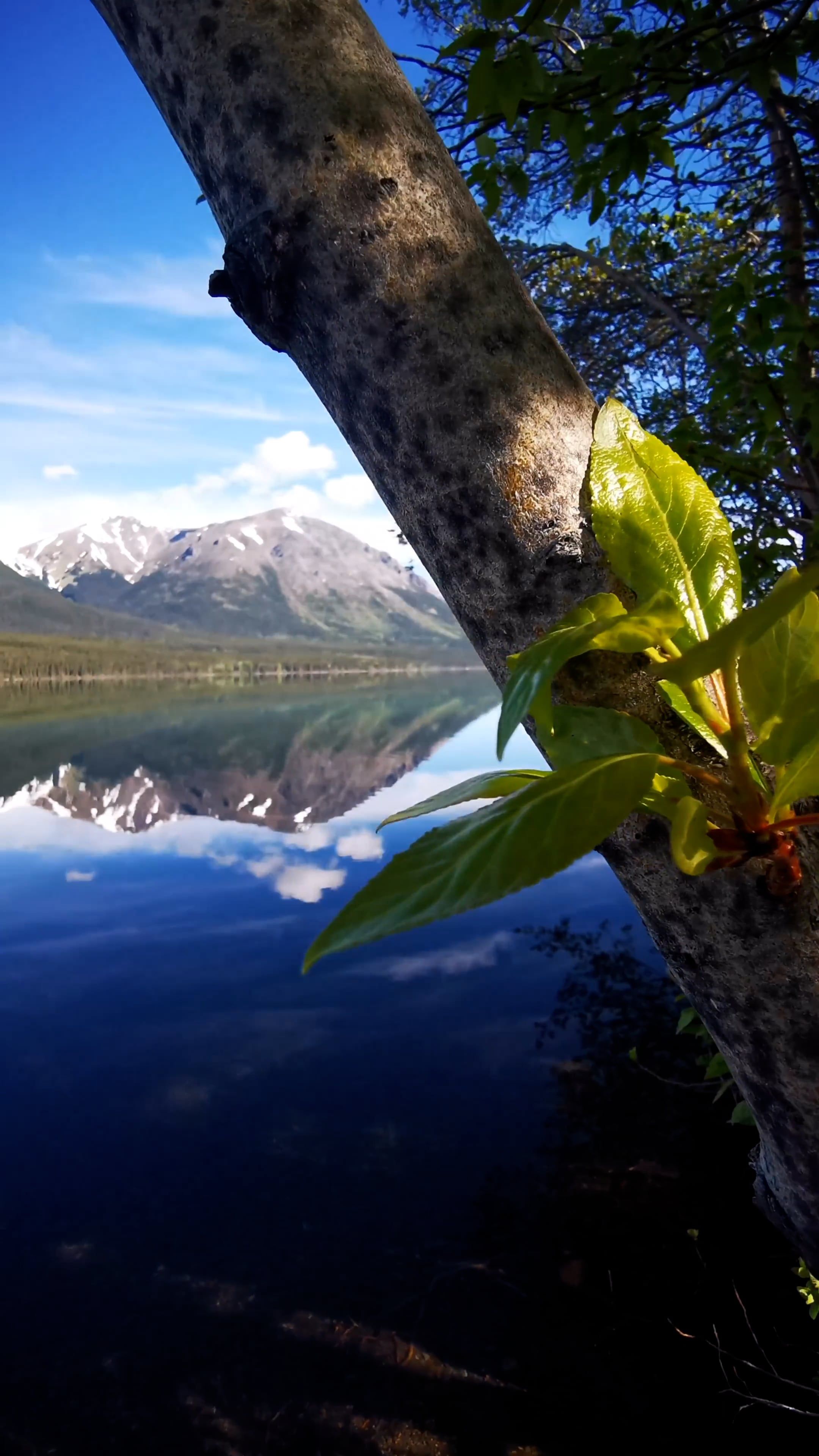 Mountains over Lake Free Stock Video Footage, Royalty-Free 4K & HD ...