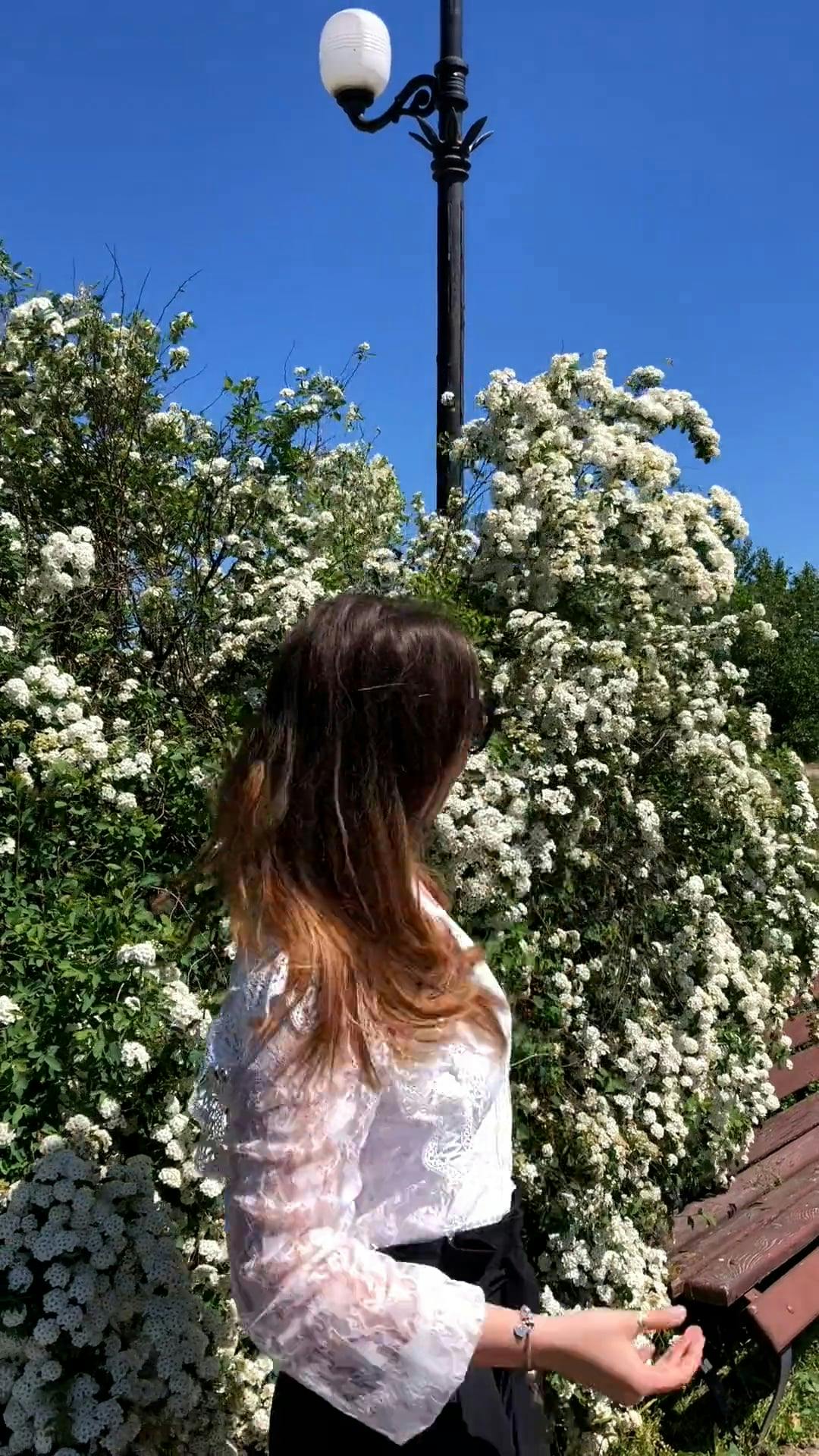 Mihai Mihaila - 写真