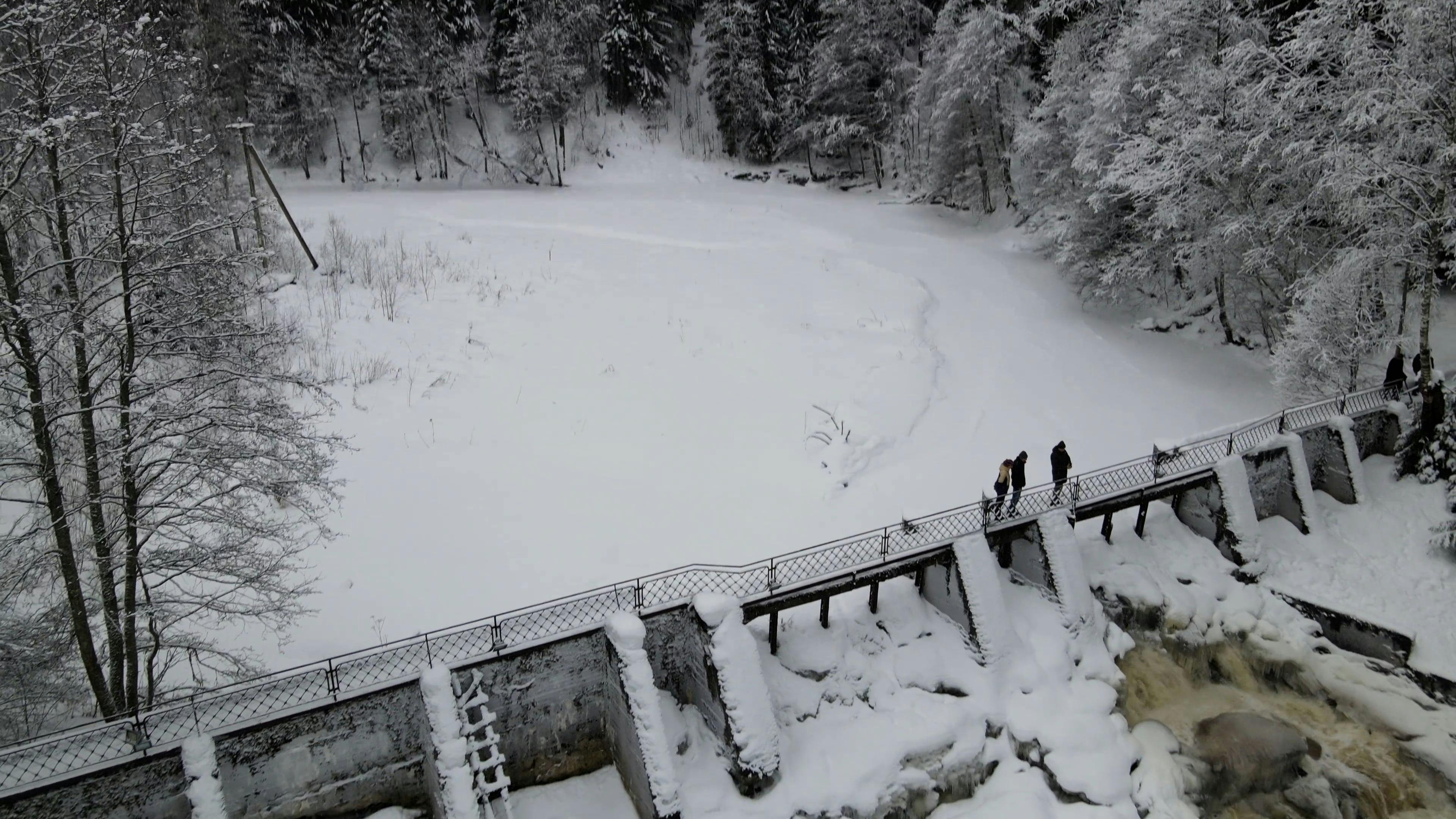 Vídeo profissional gratuito de água corrente, árvores, barragem, com ...