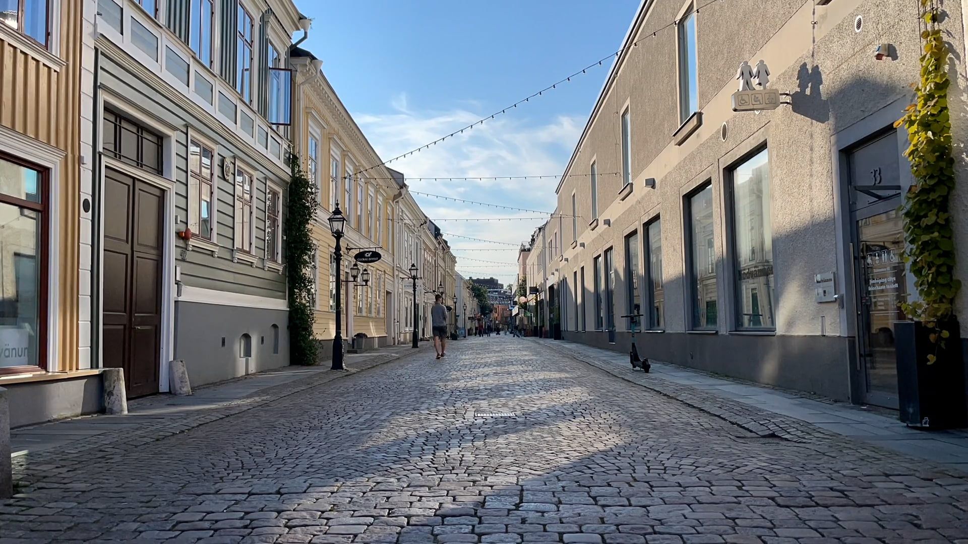 Time Lapse of People Walking on Street Free Stock Video Footage ...
