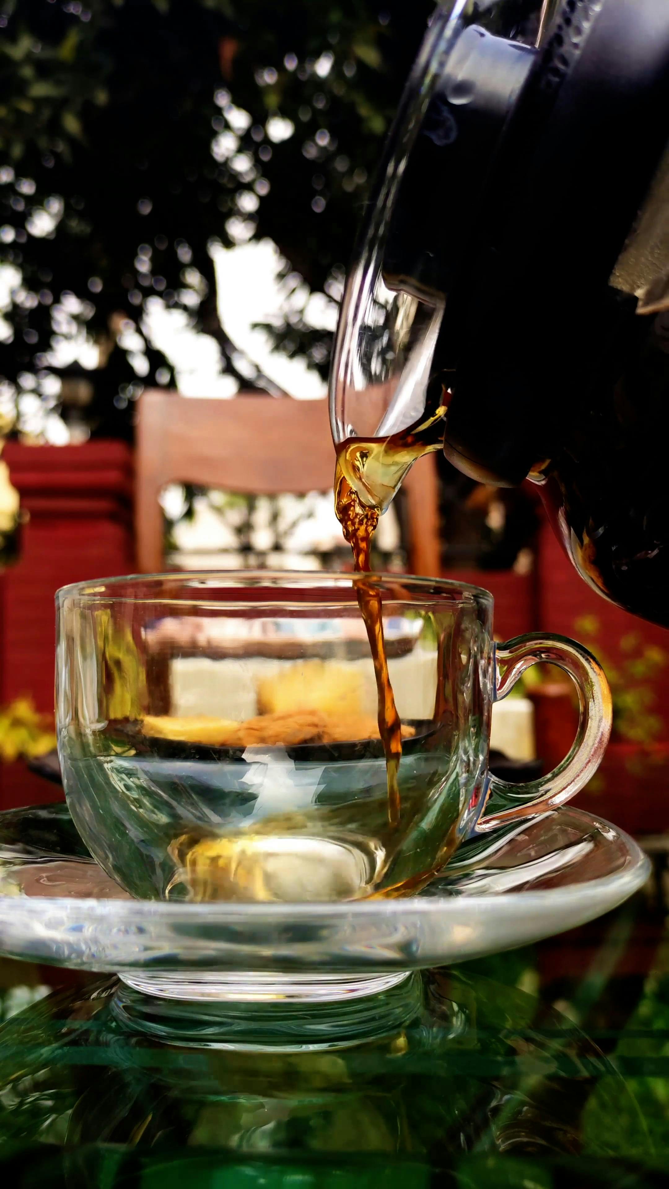A Cup Of Hot Tea Free Stock Video Footage, Royalty-Free 4K & HD Video Clip