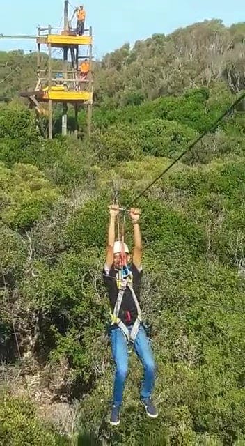 Tree Zipline Videos, Download The BEST Free 4k Stock Video Footage ...