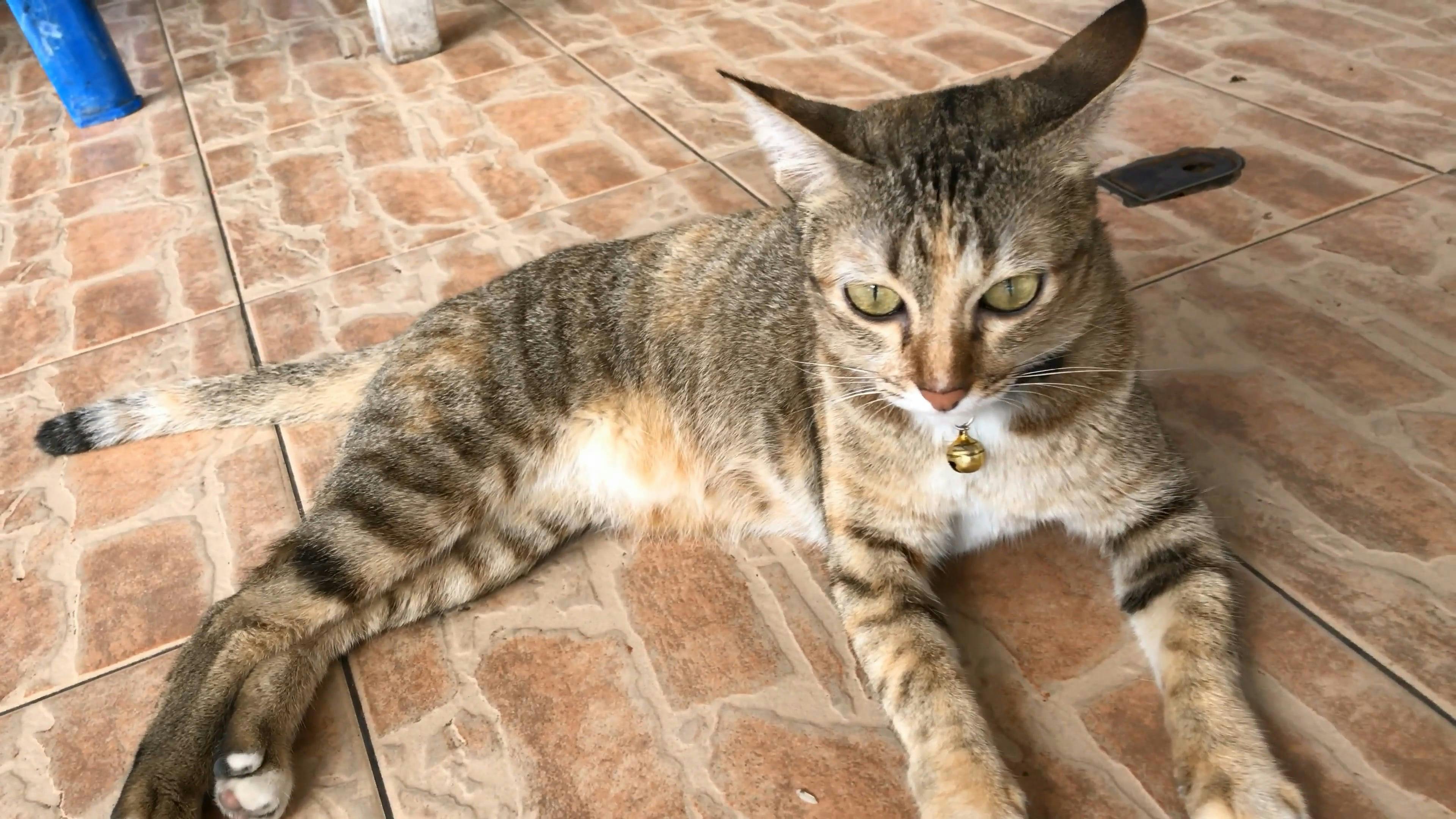 Eye Tile Videos, Download The BEST Free 4k Stock Video Footage & Eye ...