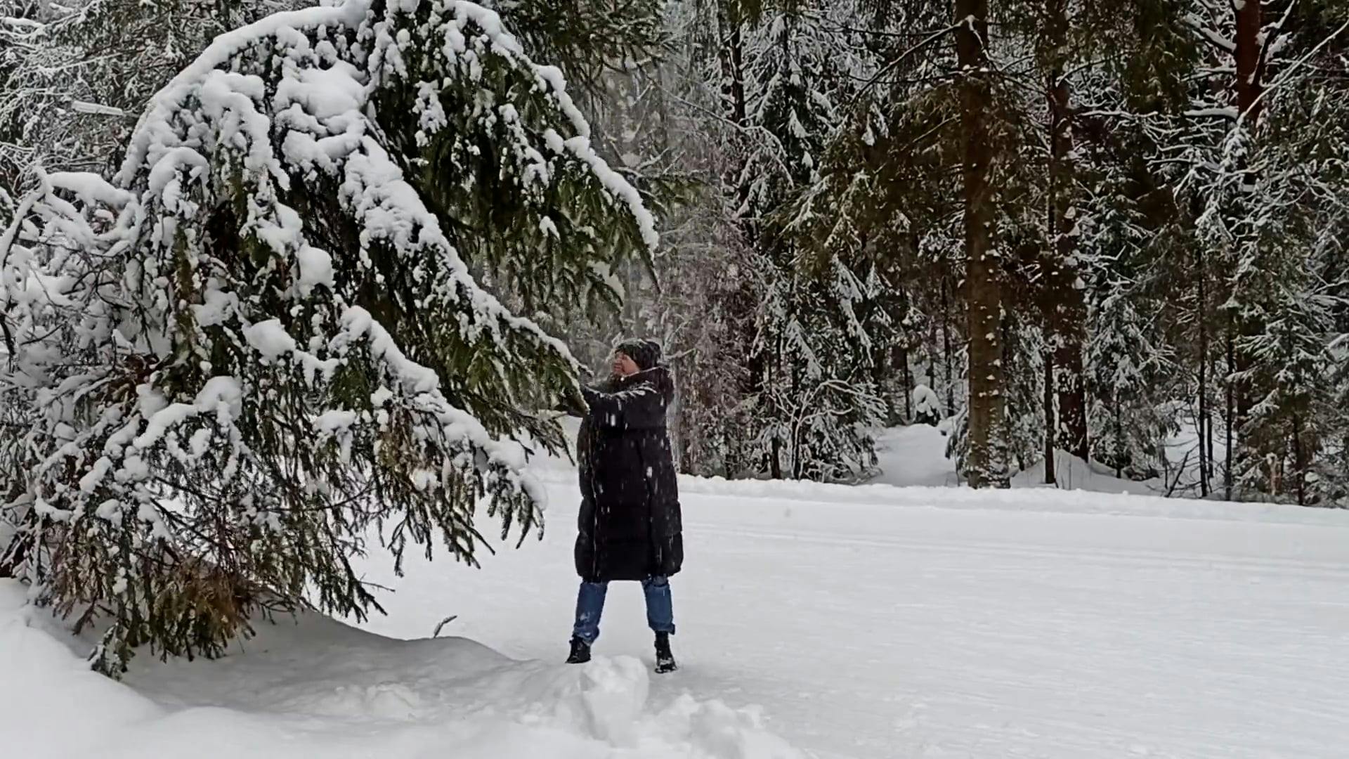 Smiling Woman Shaking Snow off Tree Free Stock Video Footage, Royalty ...