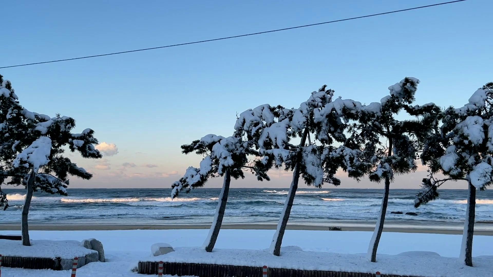 Snow on Beach Free Stock Video Footage, Royalty-Free 4K & HD Video Clip