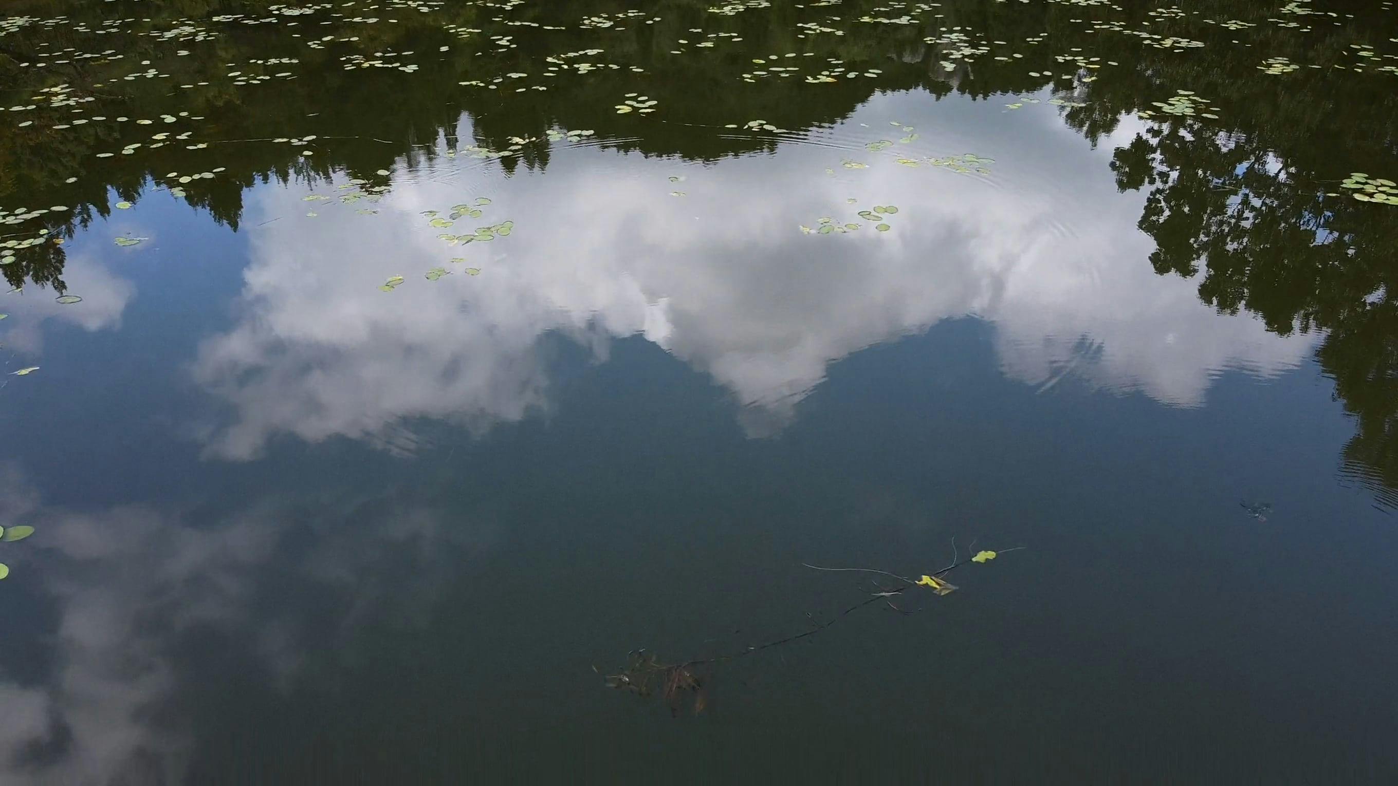 50,000+件の最高の4k-wallpaper-shadow関連動画 · 100%無料でダウンロード · Pexelのストック動画