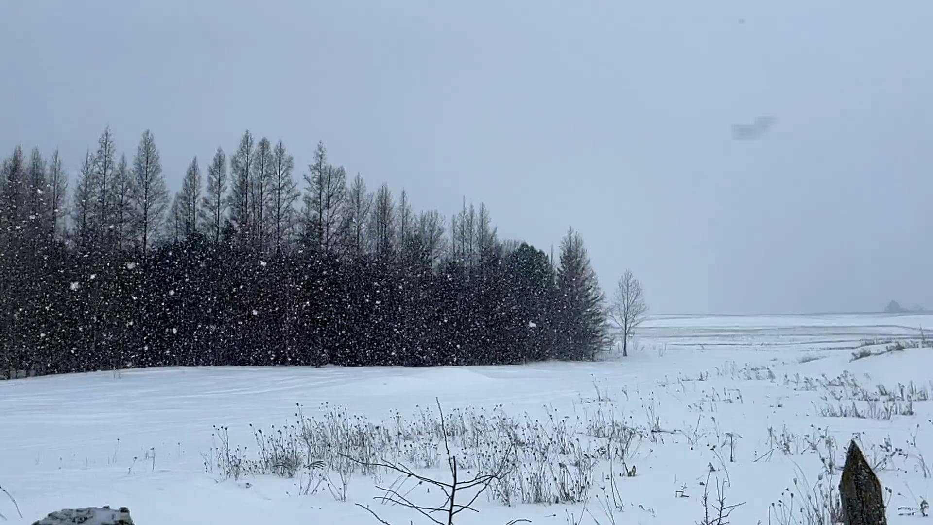 Snow Slowly Falling Down Free Stock Video Footage, Royalty-Free 4K & HD ...