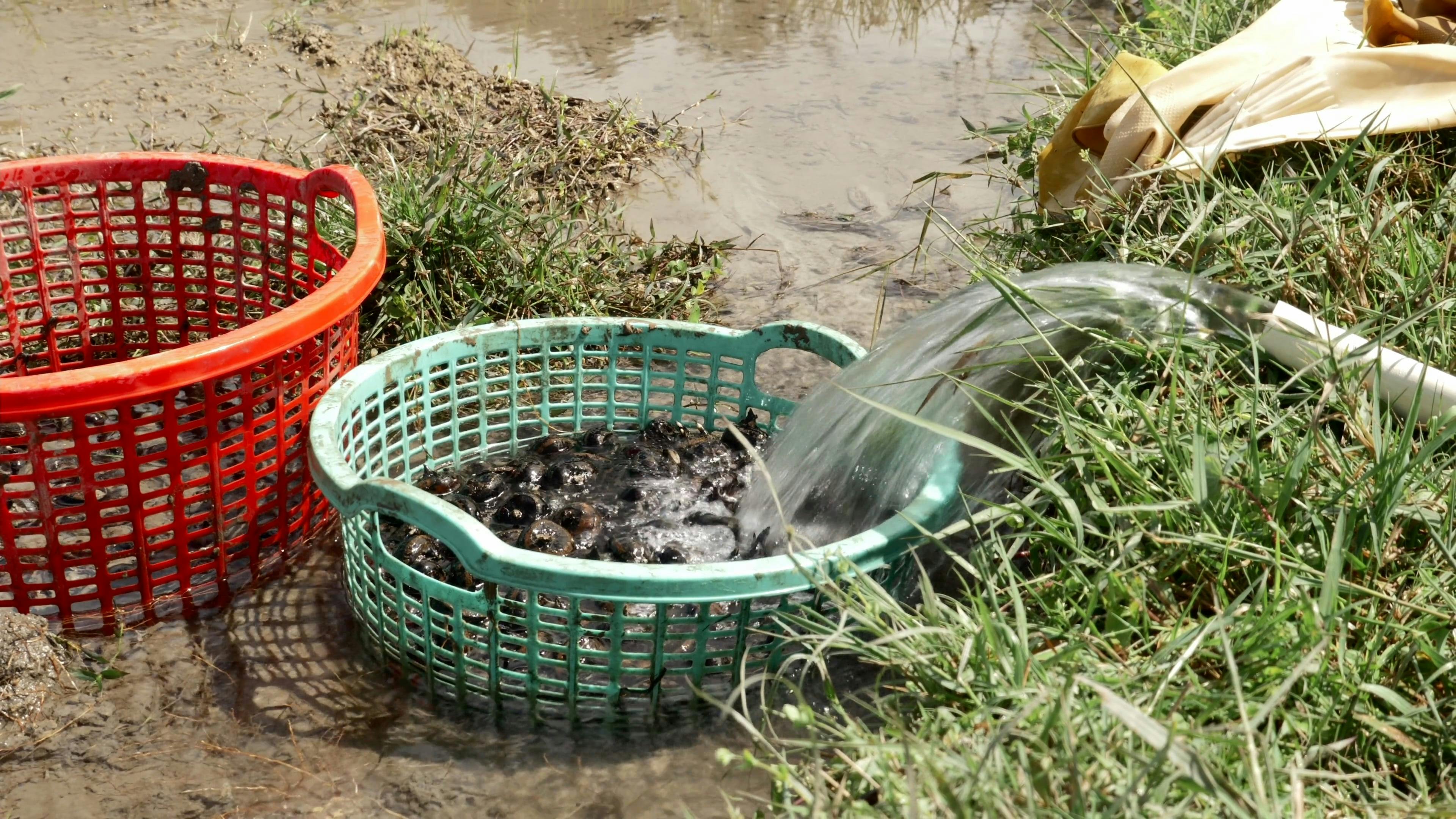 Soil Fill Videos, Download The BEST Free 4k Stock Video Footage & Soil ...