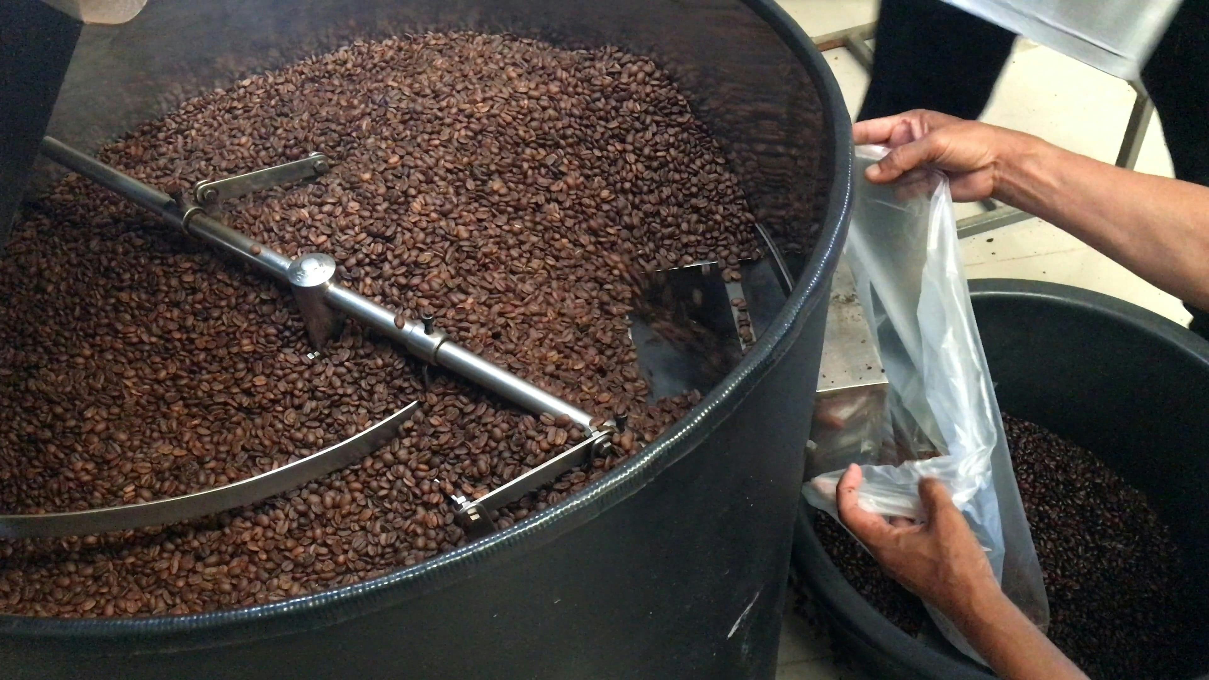 Coffee Production Line Videos, Download The BEST Free 4k Stock Video ...