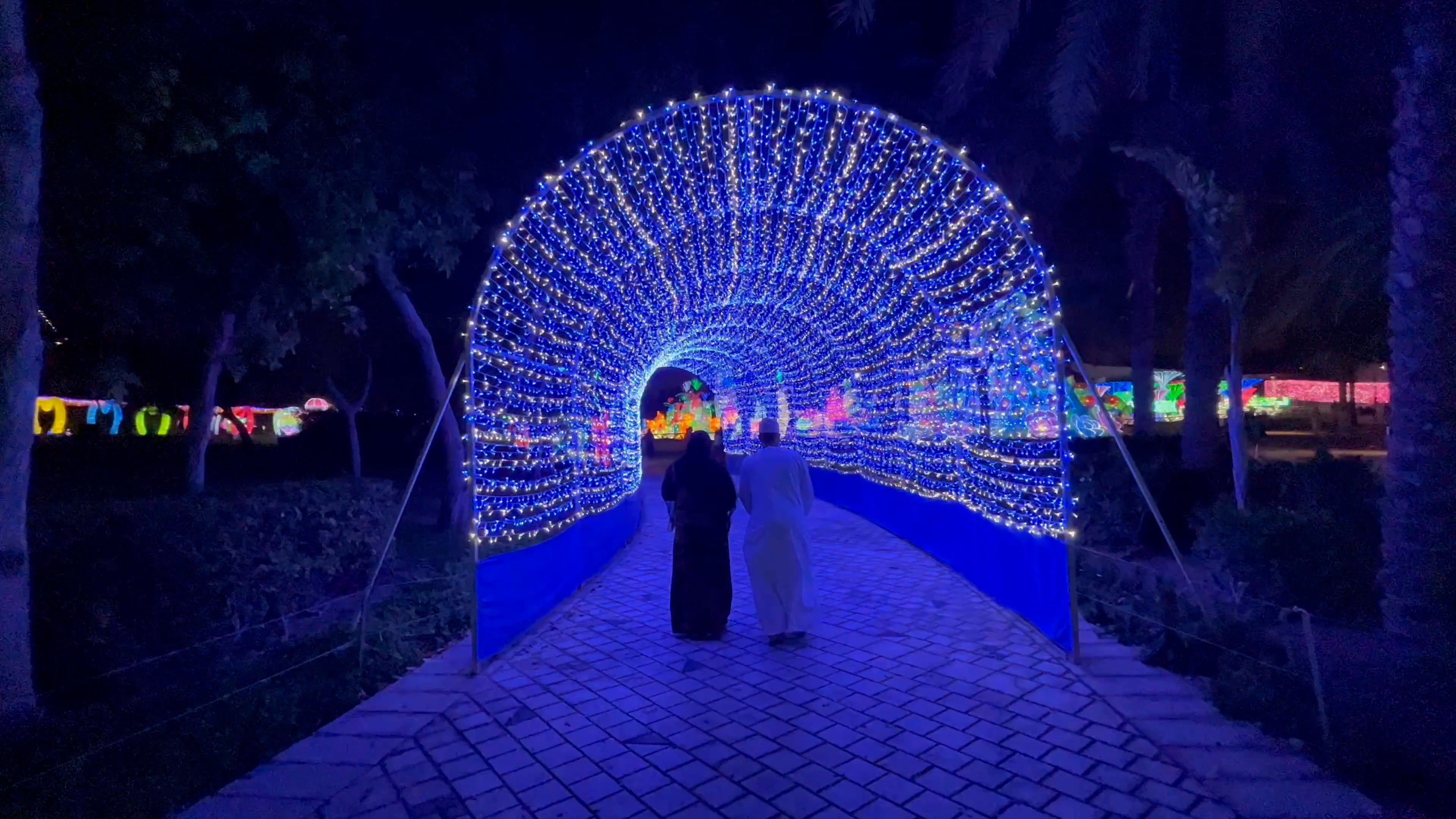 Back View of People Walking in Illuminated Tunnel Free Stock Video ...