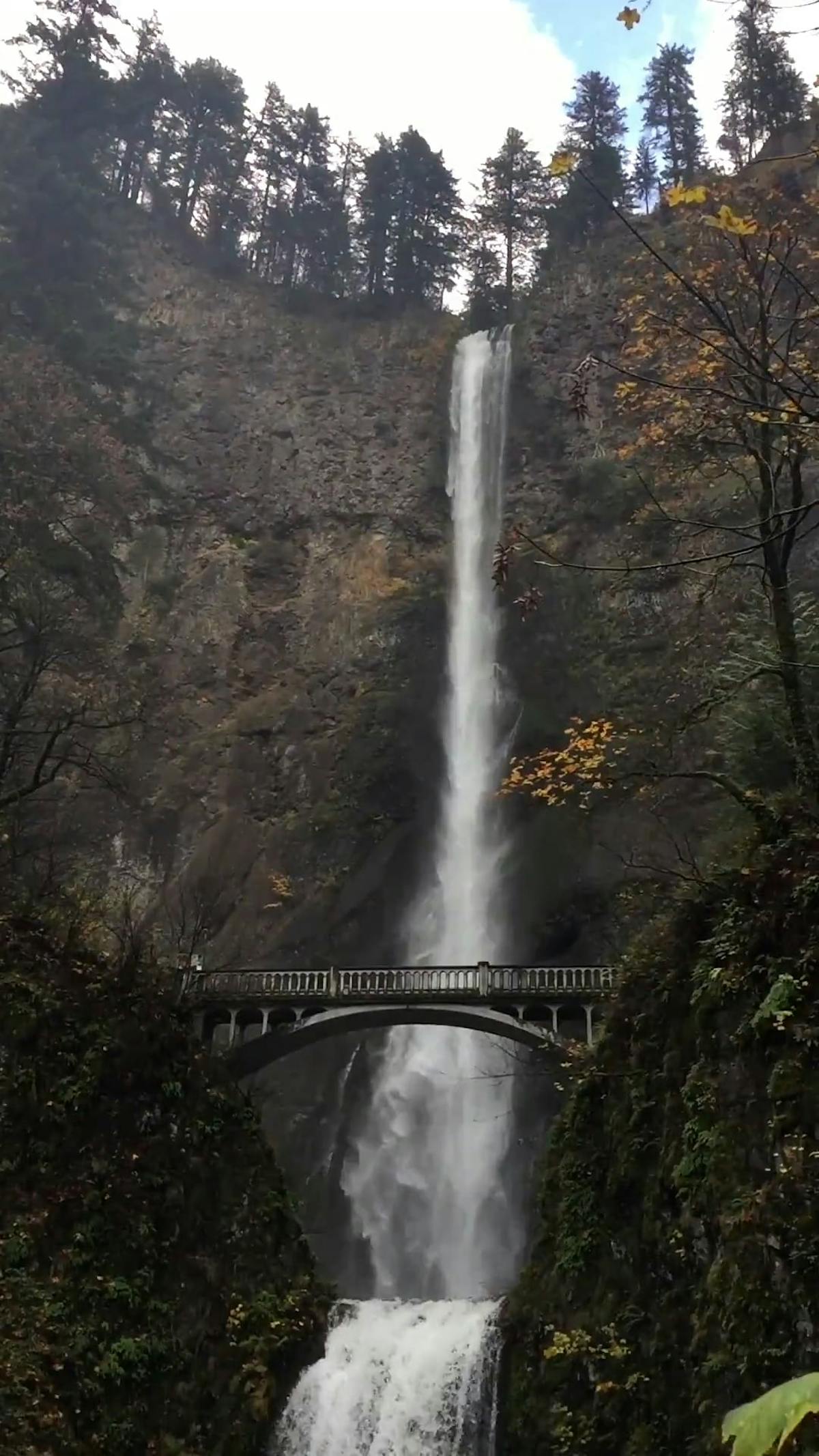 Oregon Videos, Download The BEST Free 4k Stock Video Footage & Oregon ...