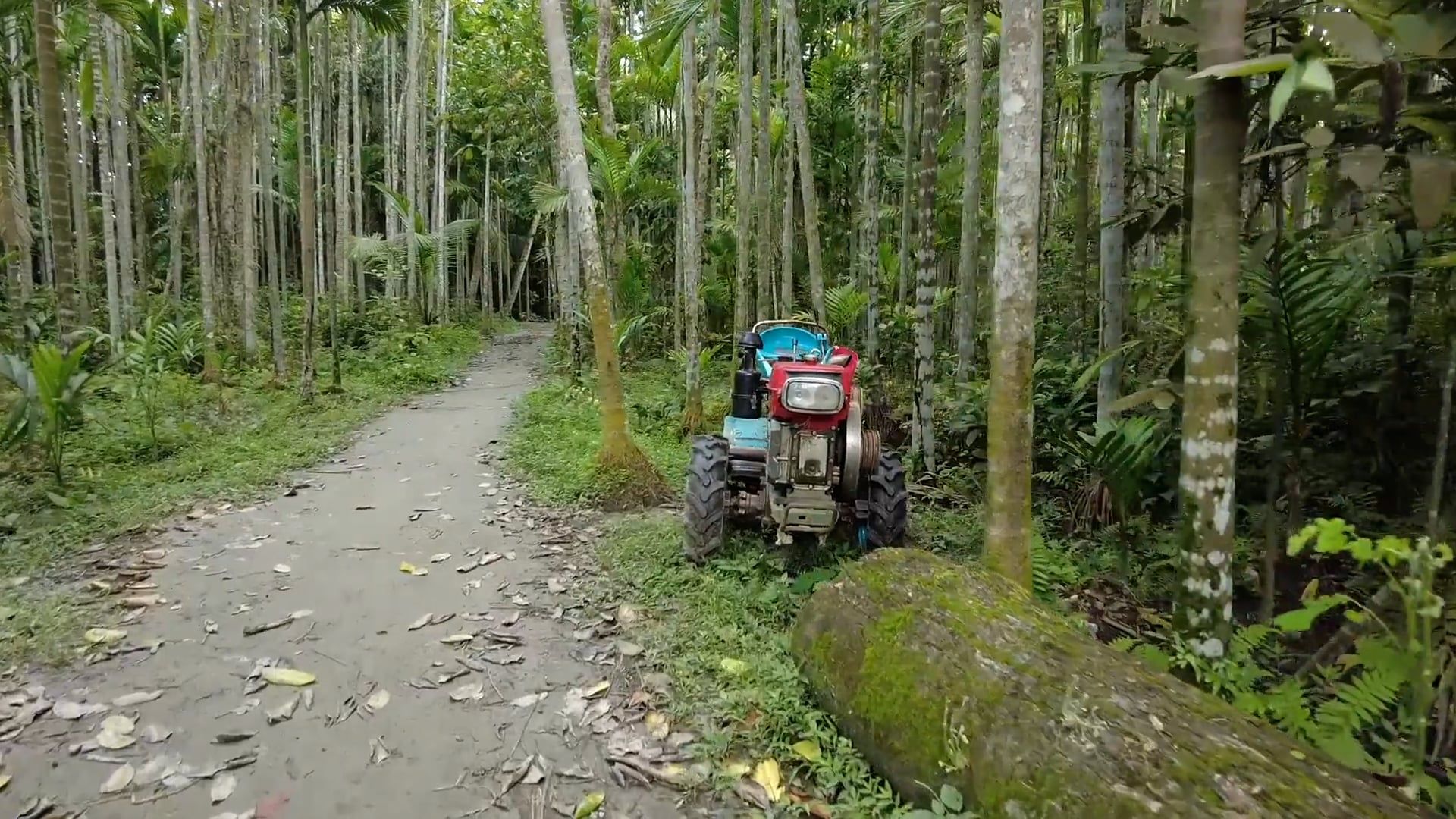 Tractor in Forest · Free Stock Video