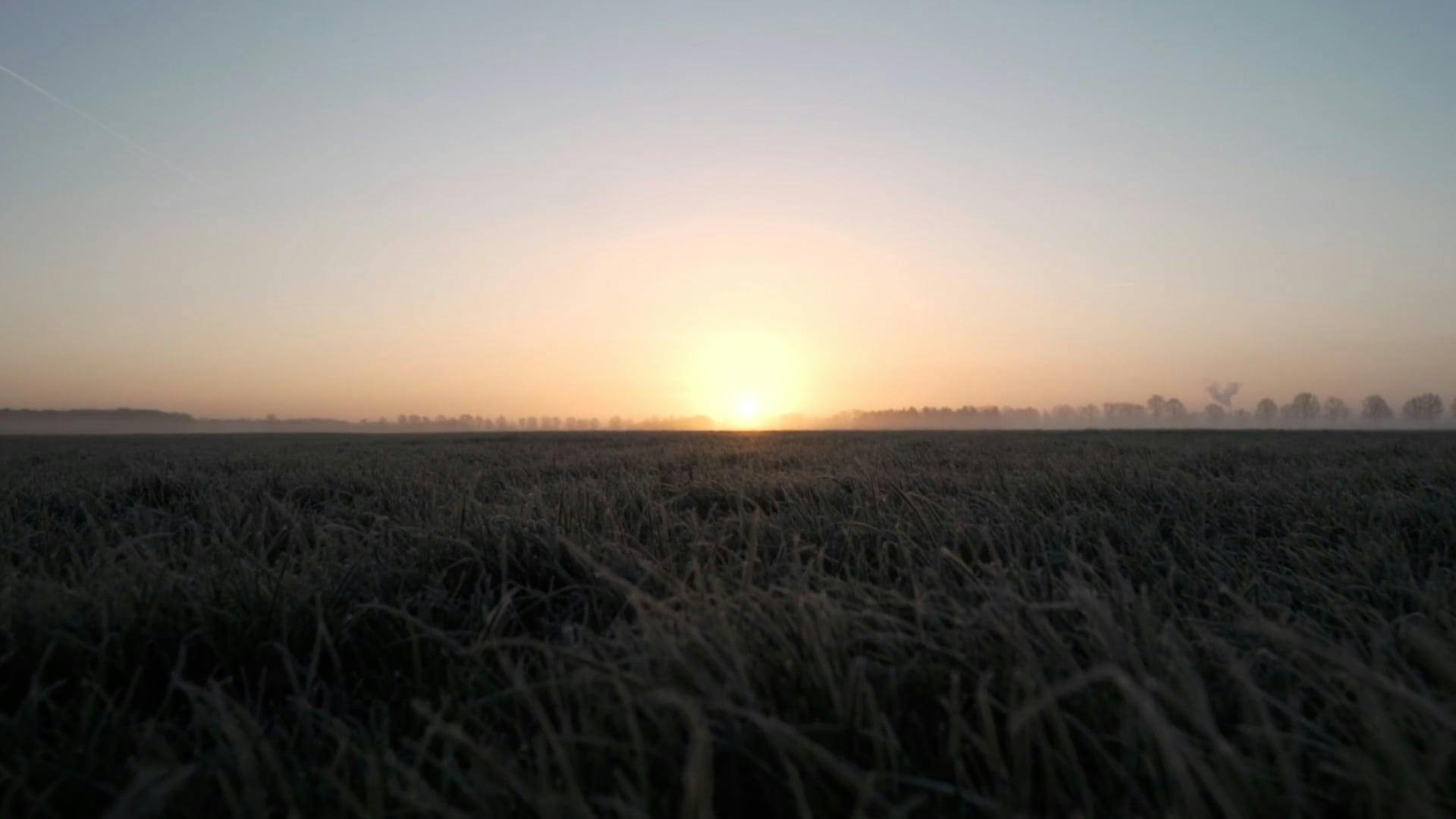 Sunrise over Meadow Free Stock Video Footage, Royalty-Free 4K & HD ...