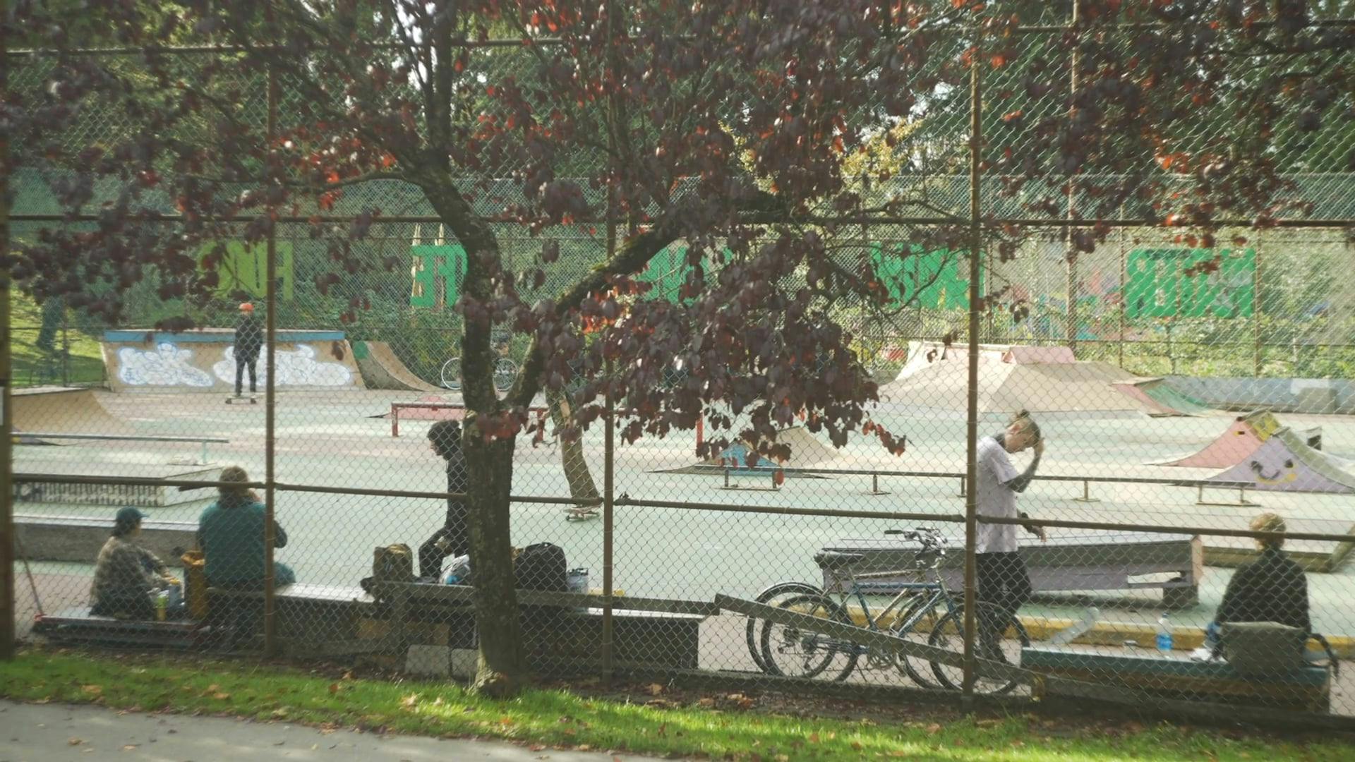 Young People Hanging out at a Skatepark Free Stock Video Footage ...