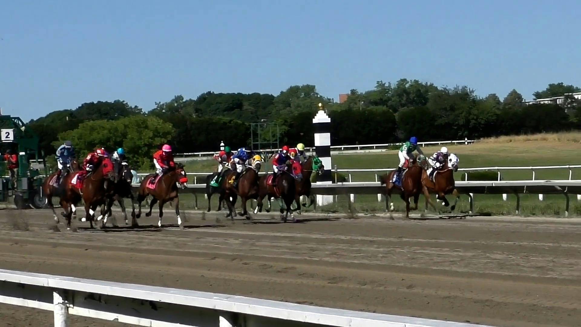 Horse Racing Videos, Download Free 4k Stock Video Footage & Horse ...