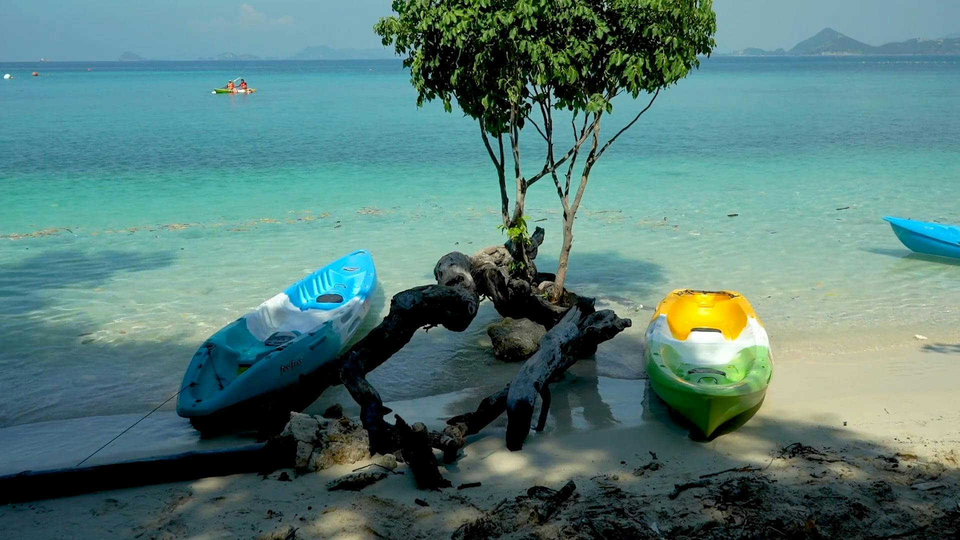 Tree Kayak Videos, Download The BEST Free 4k Stock Video Footage & Tree ...