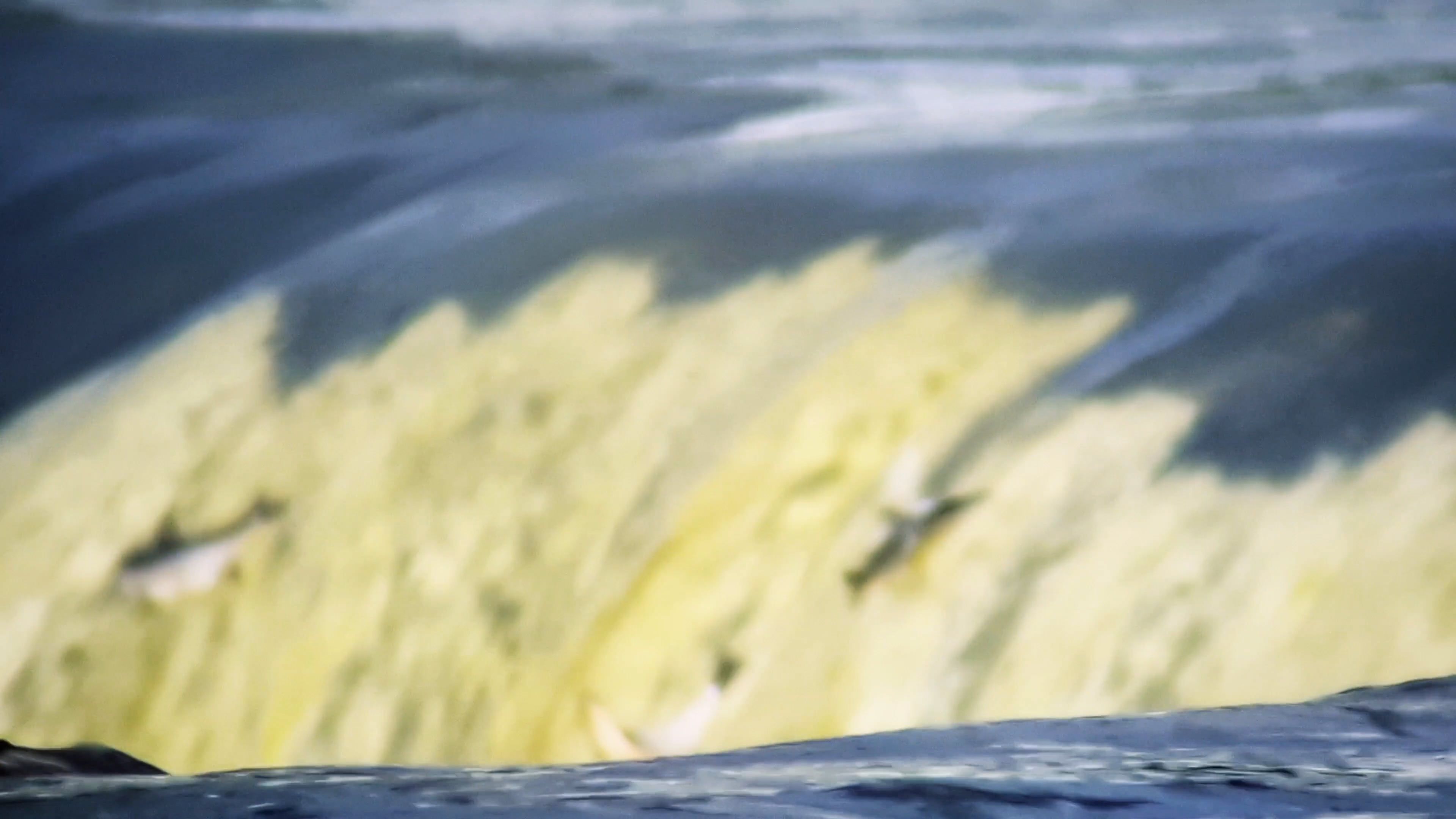 Fish Jumping up Waterfall on River Free Stock Video Footage, Royalty ...