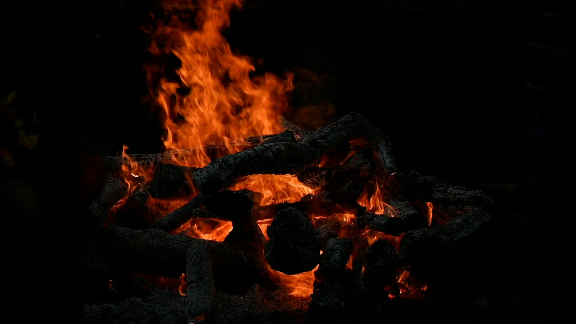 Fire And Safety Audit Videos, Download The BEST Free 4k Stock Video ...