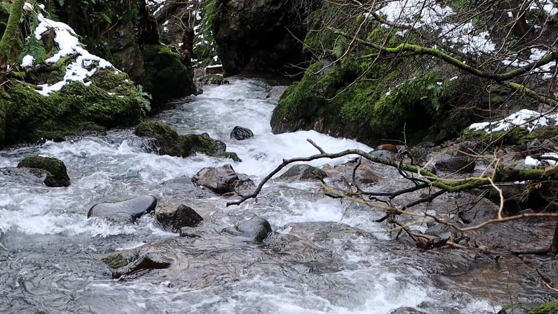 Spectacular and Powerful Mountain River in Spring Free Stock Video ...