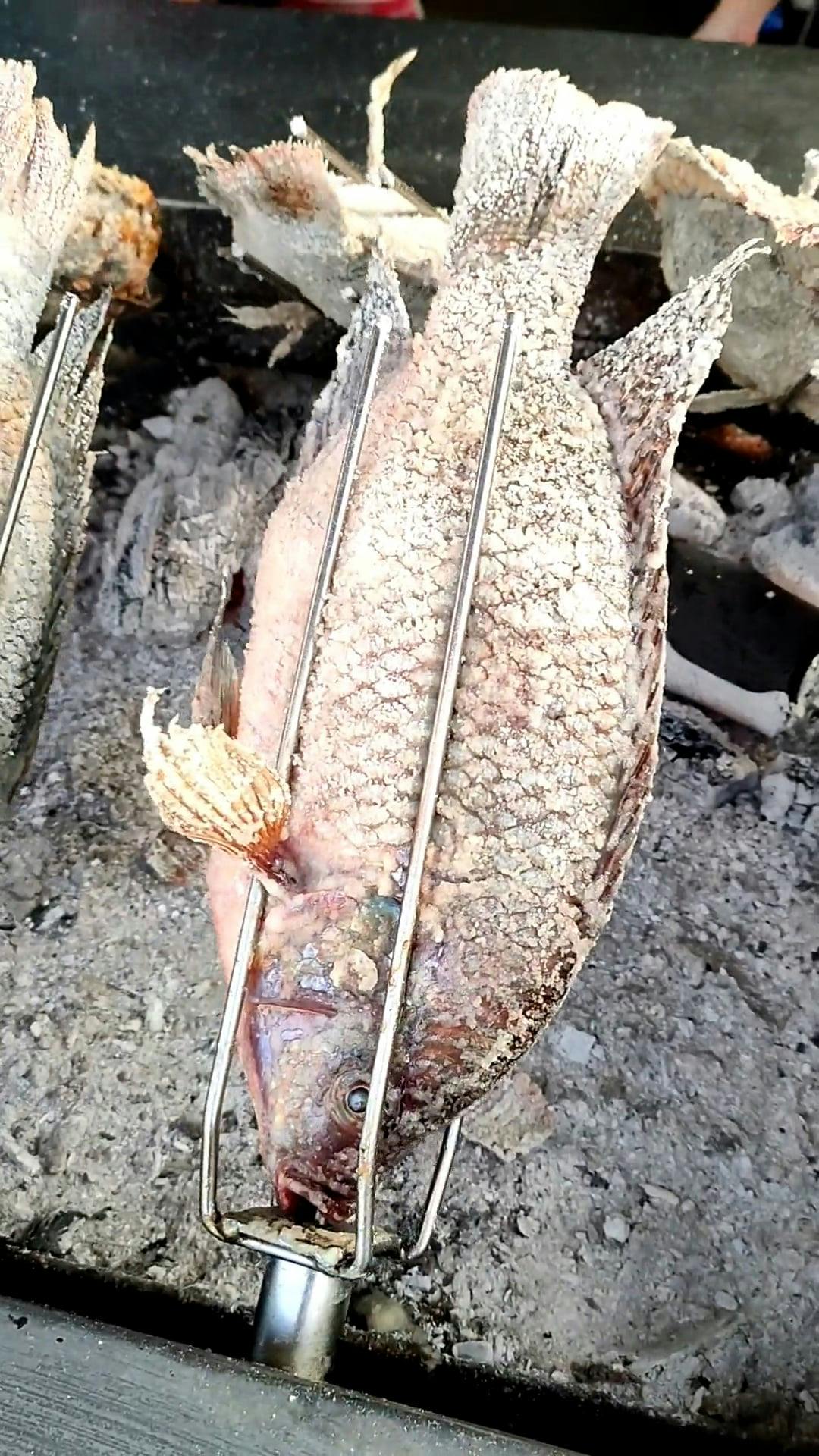 Spit Fishing Videos, Download The BEST Free 4k Stock Video Footage ...