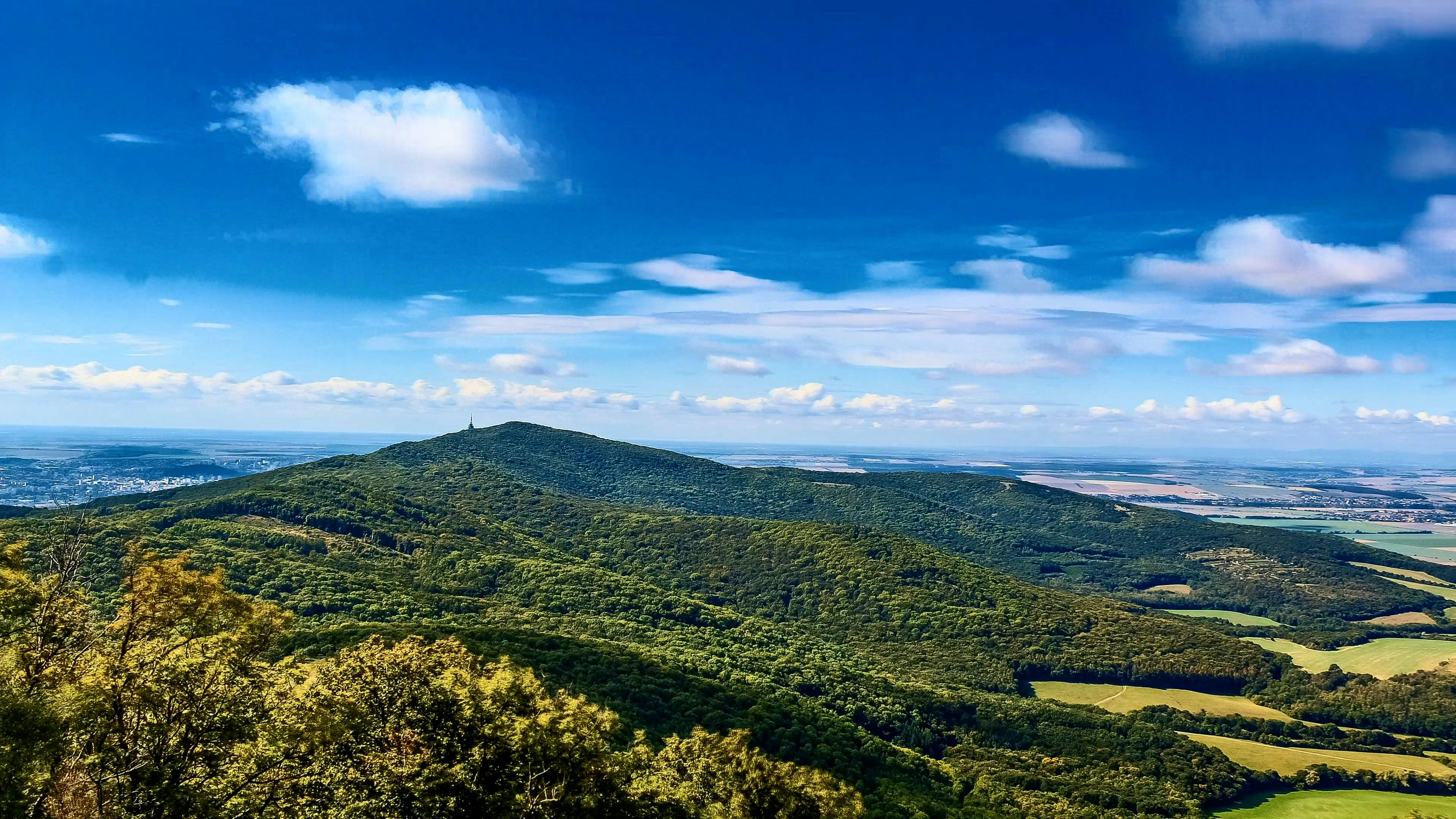 Peter Cash - Photography